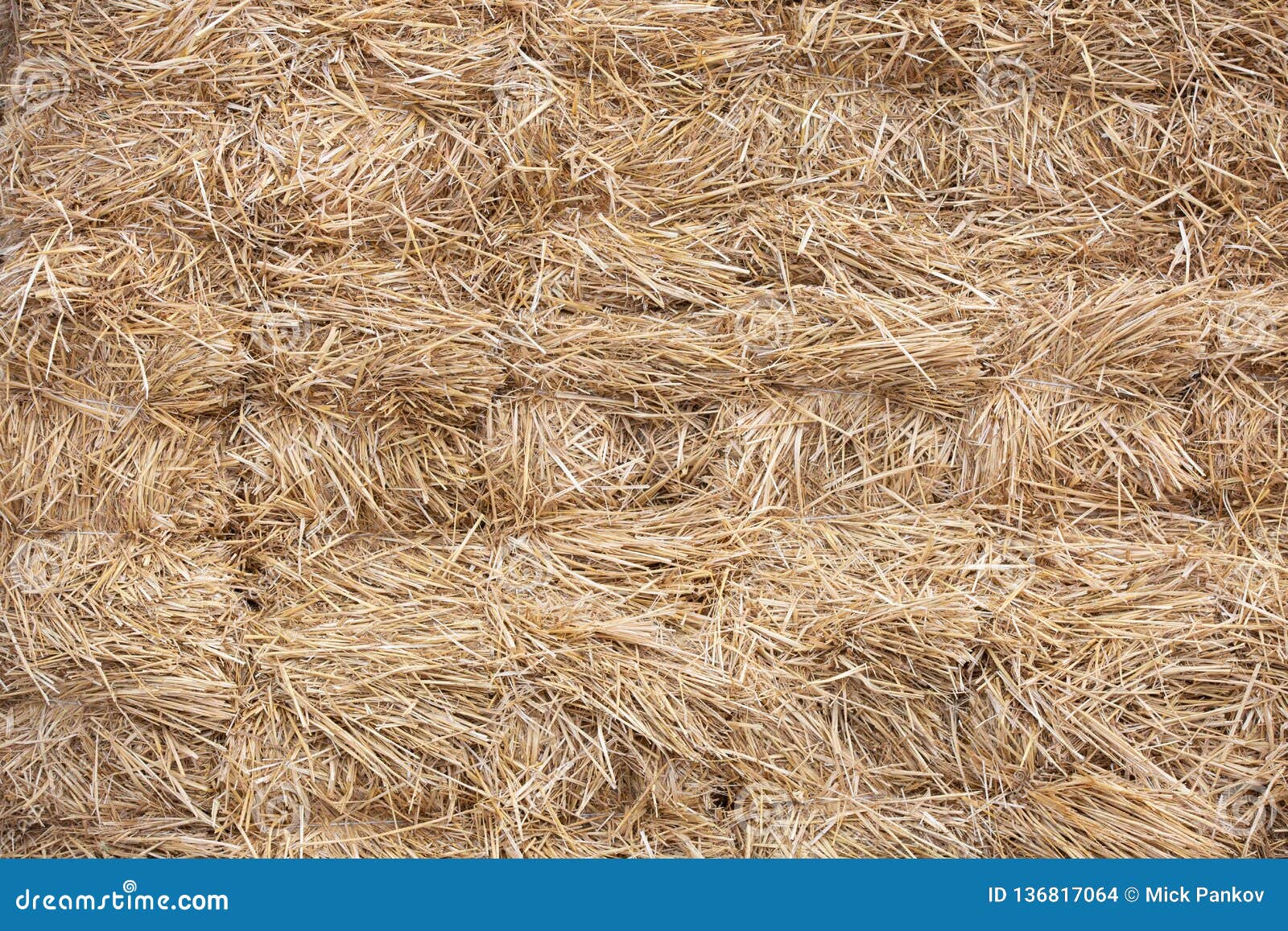 Pile bales of hay . stock photo. Image of feed, background - 136817064 Pile bales of hay . stock photo. Image of feed, background - 136817064