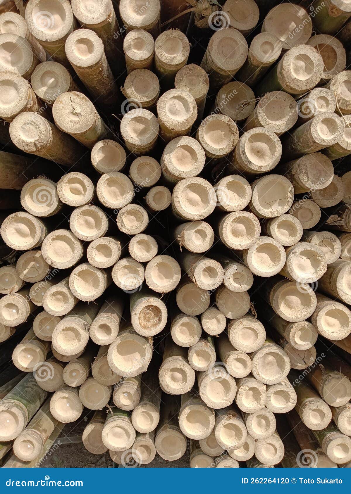 The Pile of Bamboo Forms a Circle Stock Photo - Image of iron, circle ...