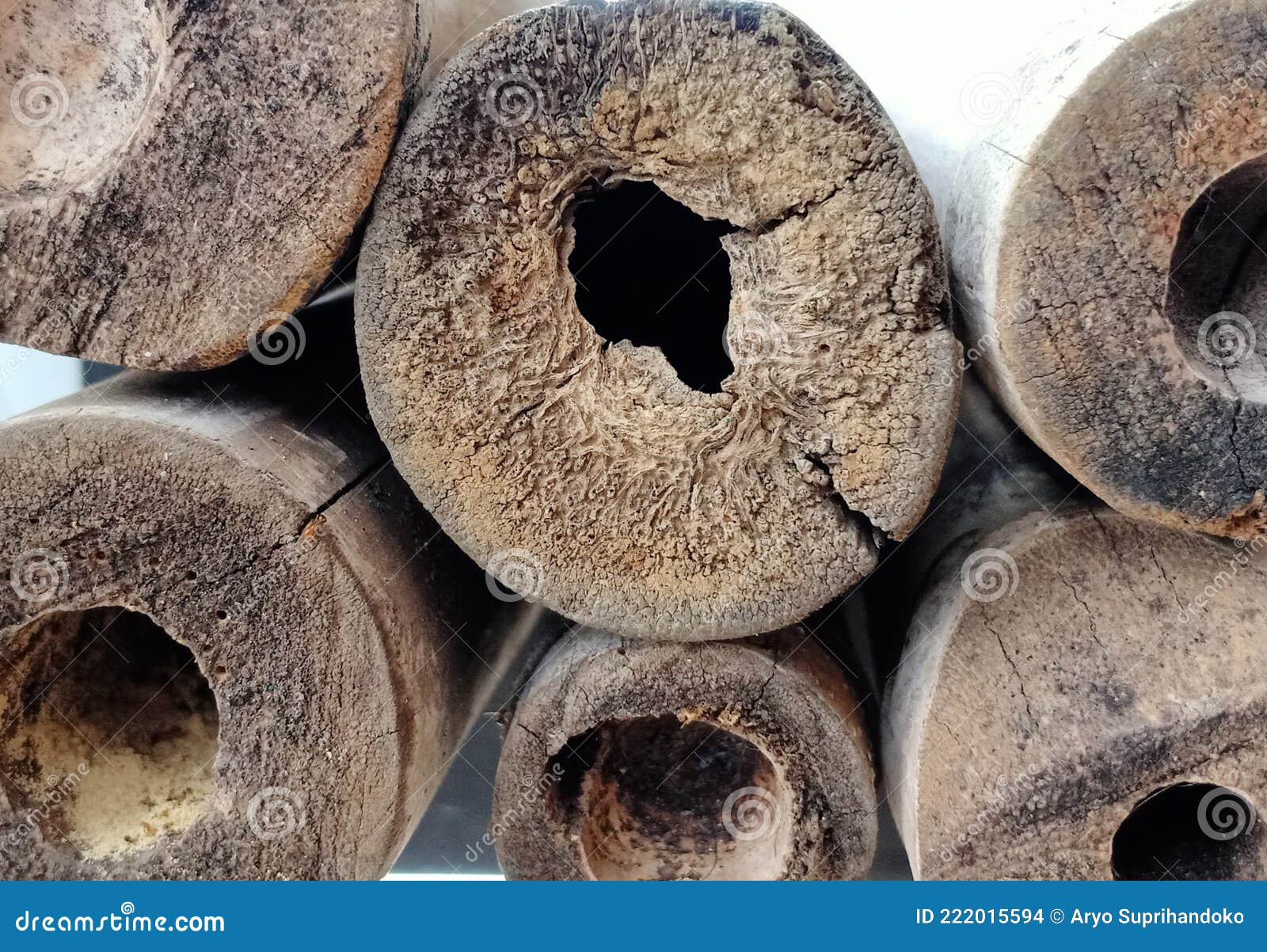 Pile of bamboo stock photo. Image of bammb, bamboo, hole - 222015594