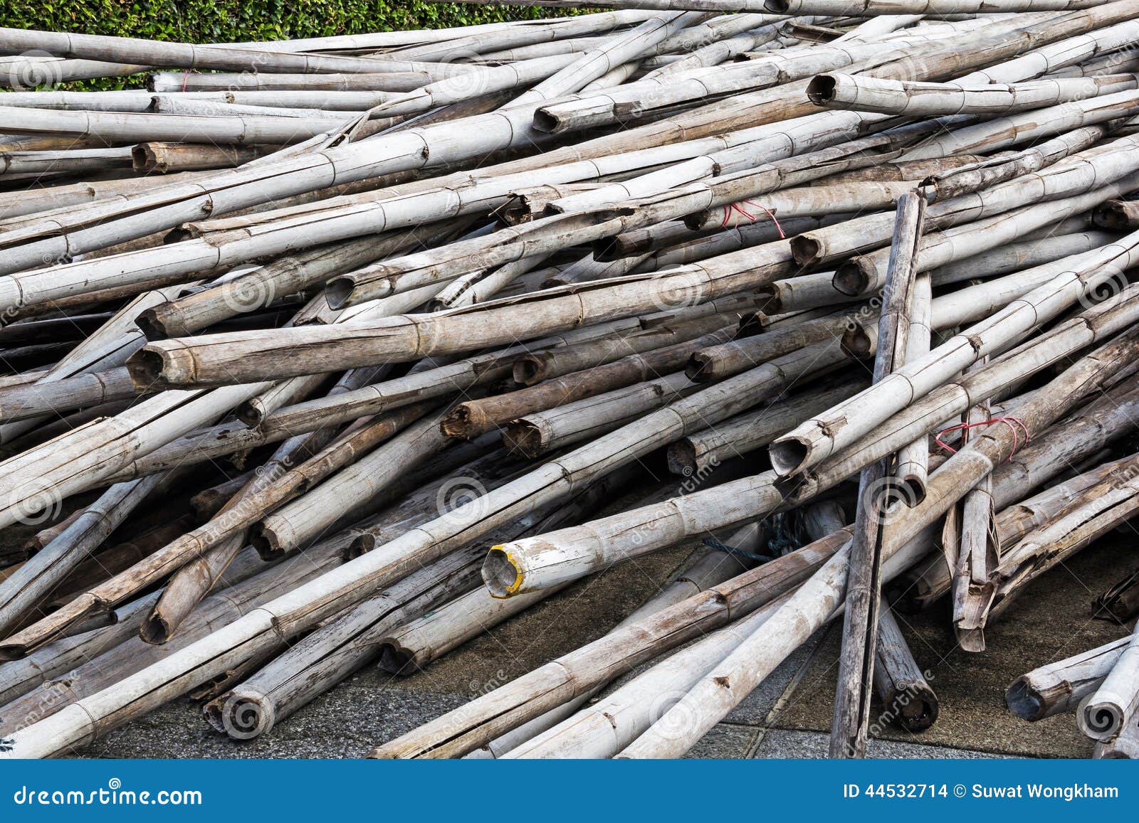 A pile of bamboo log stock photo. Image of biological - 44532714