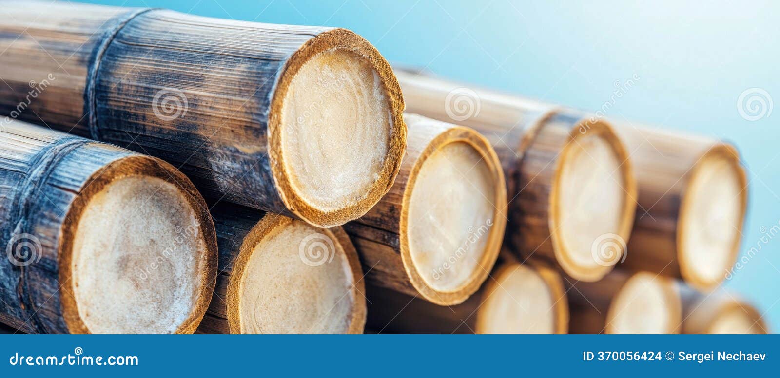 Stack Of Dry Bamboo For Background Royalty-Free Stock Photography ...