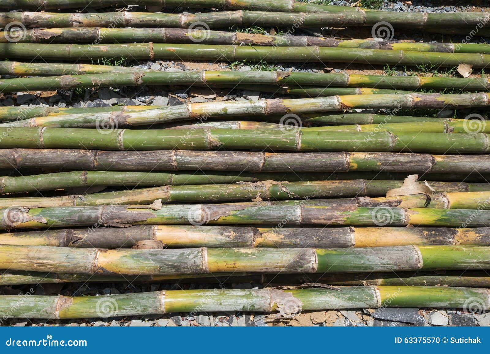 Pile of Bamboo Stick Prepare for Material Stock Photo - Image of heap ...