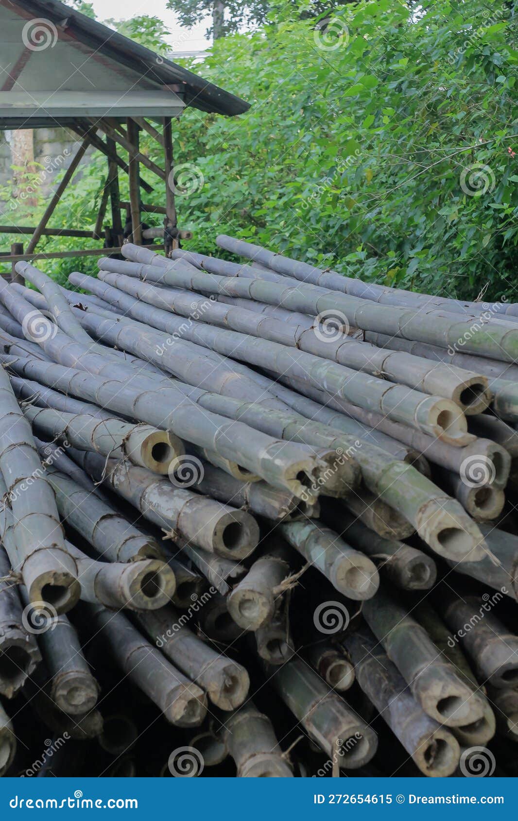 A Pile of Bamboo Sticks with a Vertical Angel Stock Image - Image of ...