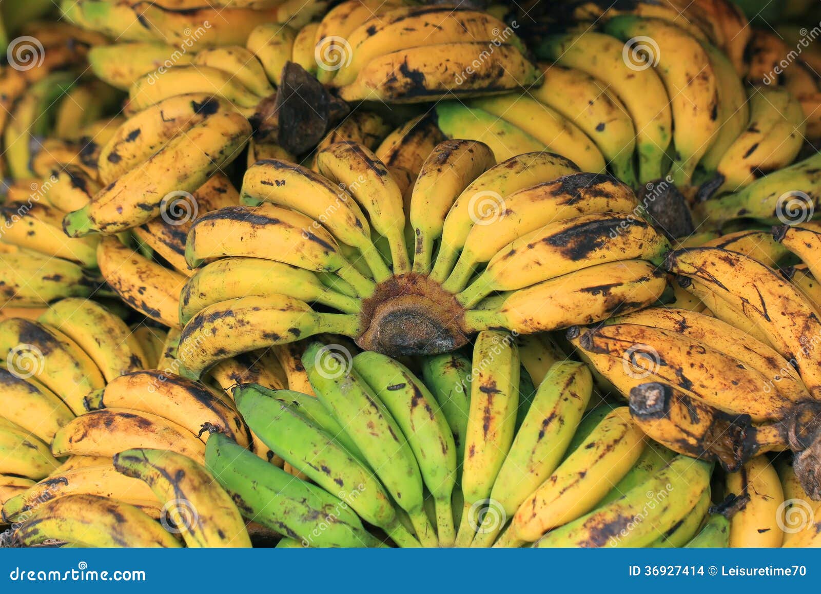 Pile of banana stock photo. Image of farm, juice, thailand - 36927414