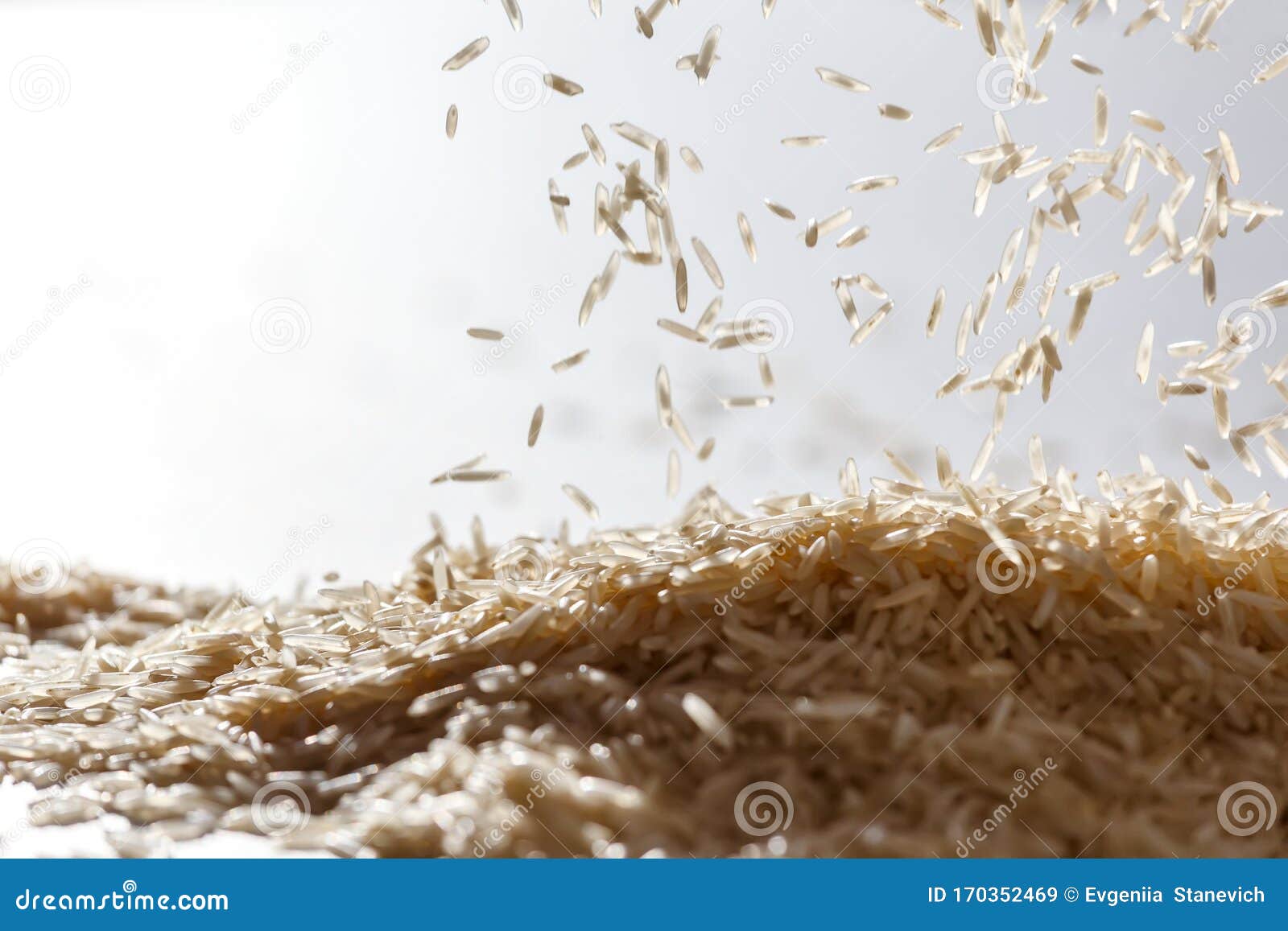 Pile of Basmati Grain Rice with Falling Seeds Stock Image - Image of ...