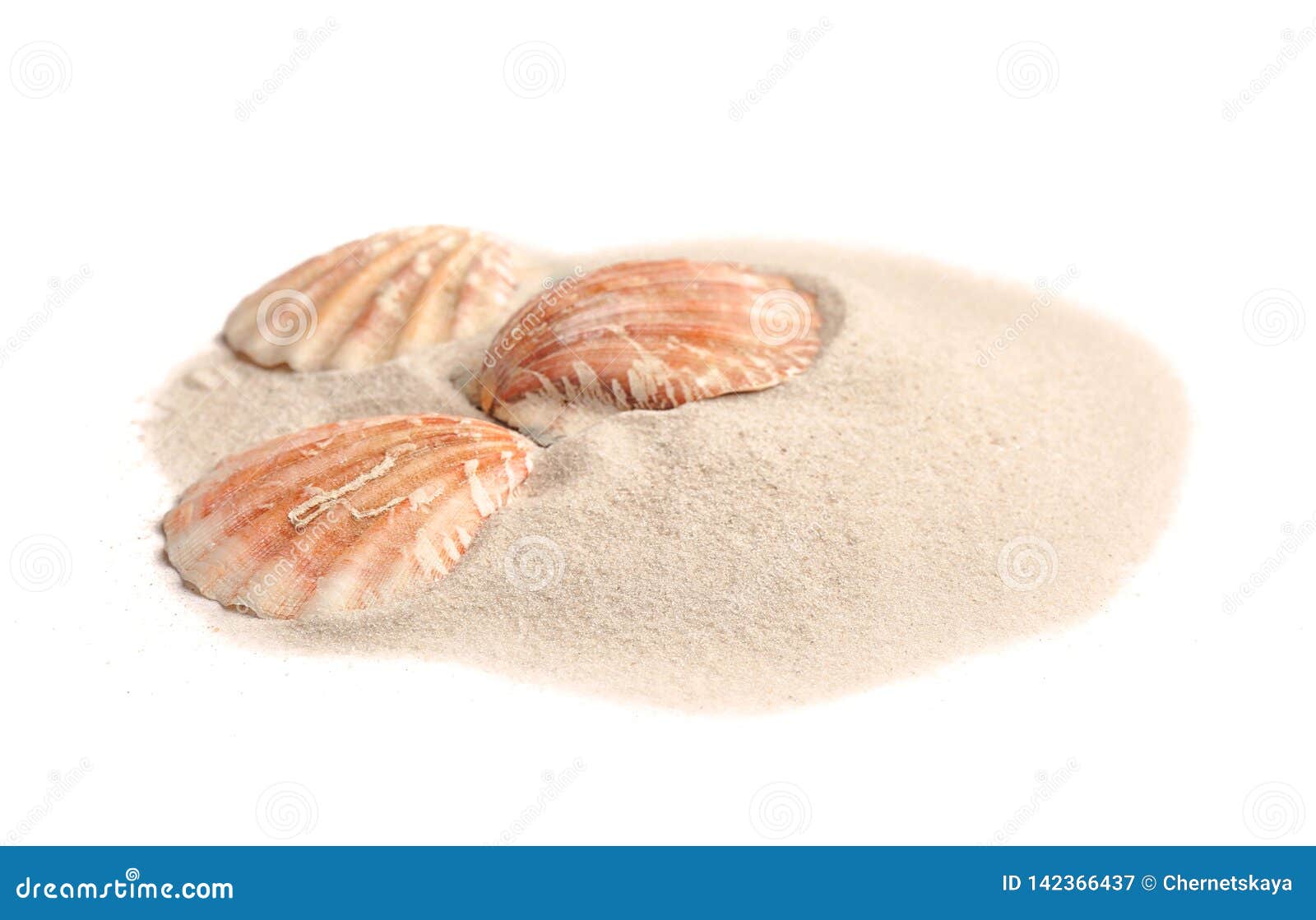 Pile of Beach Sand with Sea Shells Isolated Stock Image - Image of ...