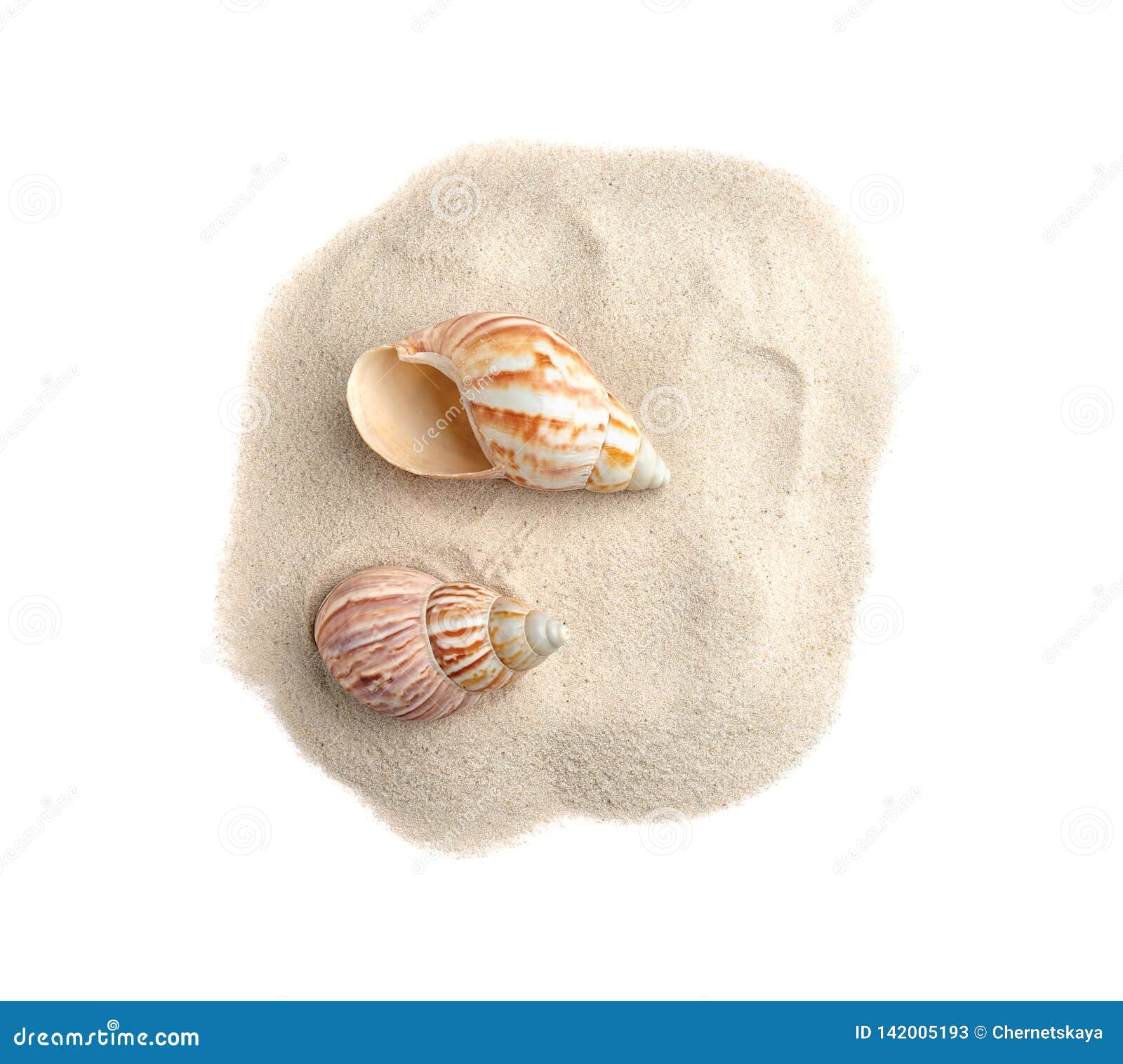 Pile of Beach Sand with Sea Shells on White, Top View Stock Image ...