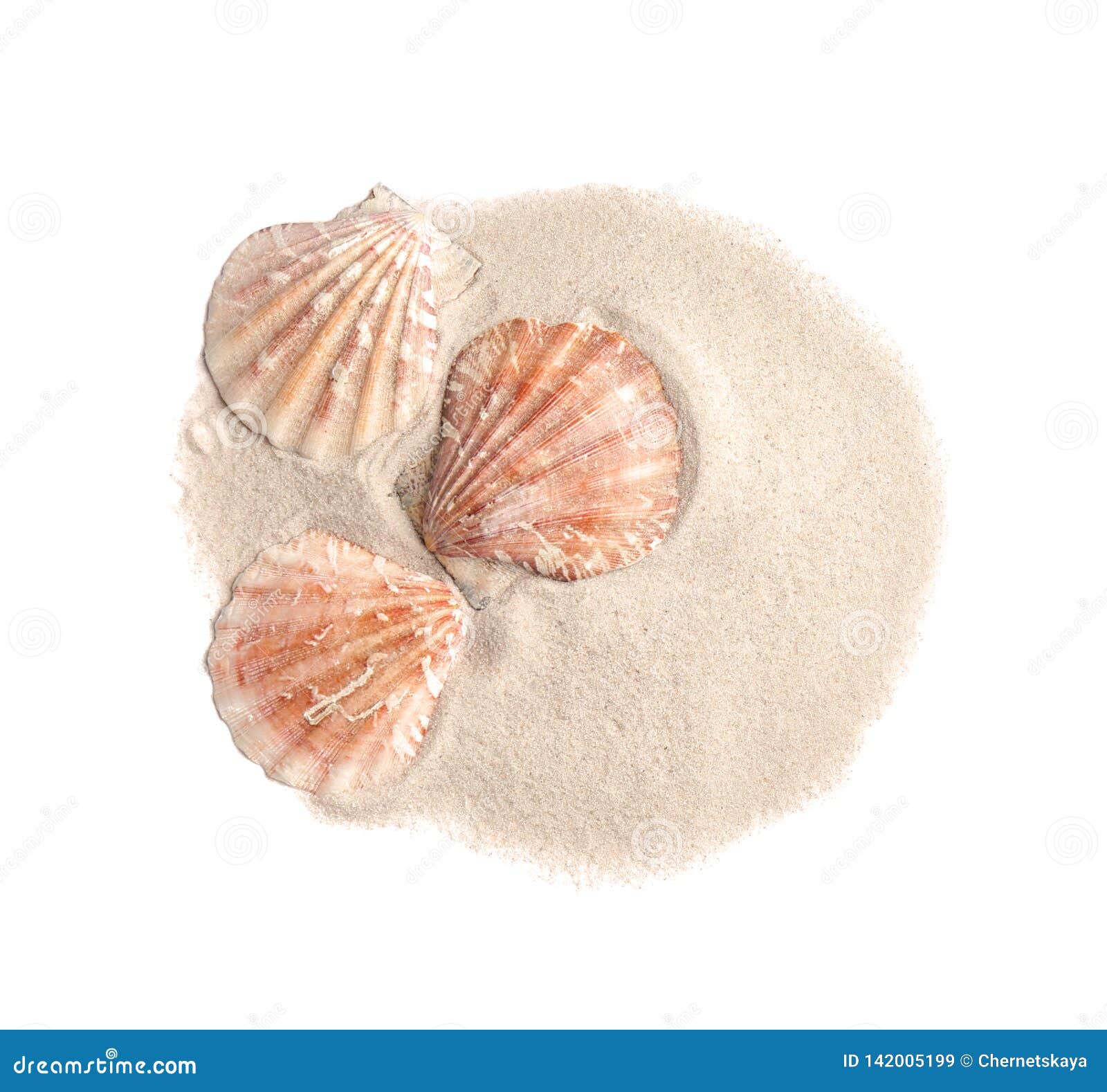 Pile of Beach Sand with Sea Shells on White, Top View Stock Image ...