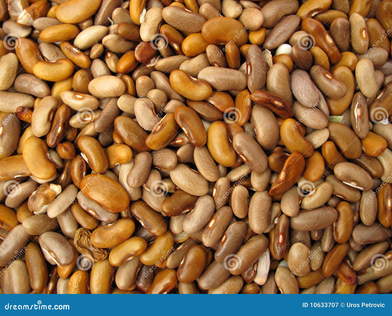 Pile of beans stock image. Image of painted, vegetables - 10633707