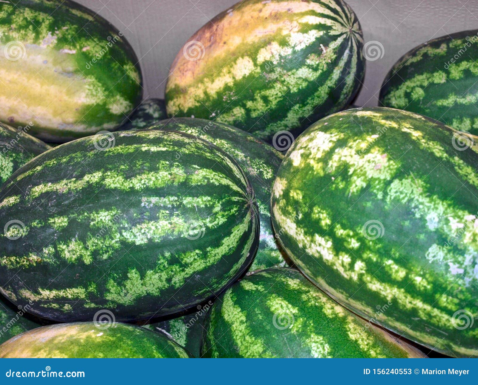Fresh Big Whole Water Melon Stock Image - Image of water, organic ...