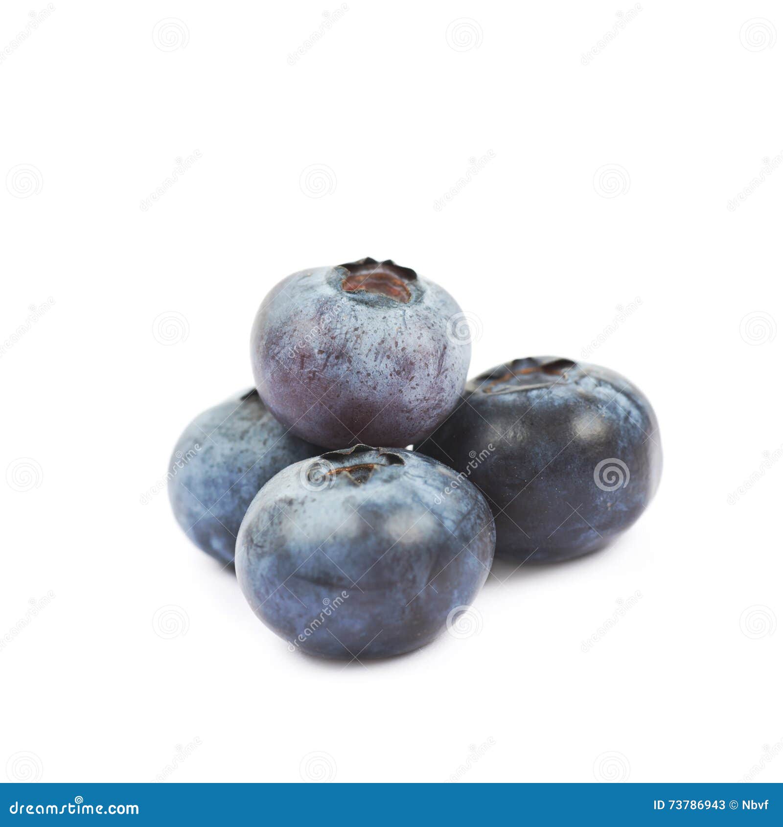 Pile of Bilberries Isolated Stock Image - Image of bilberry, color ...