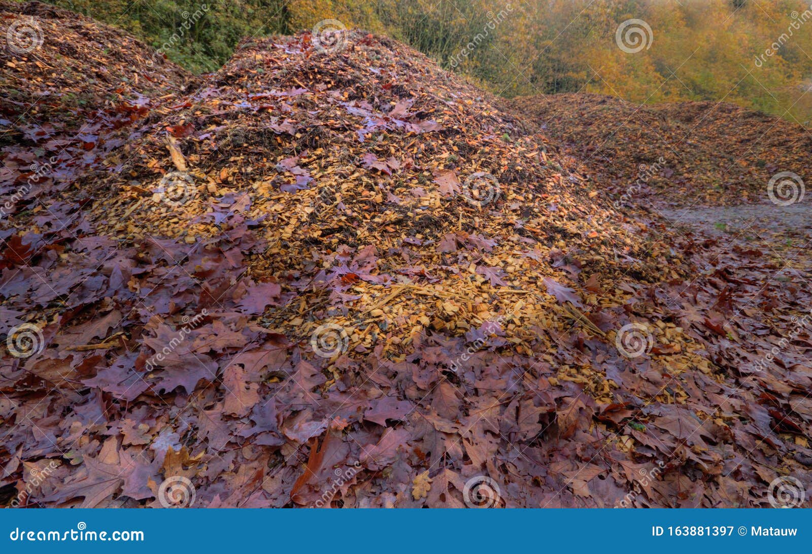 Pile of biomass stock image. Image of natural, stacked - 163881397