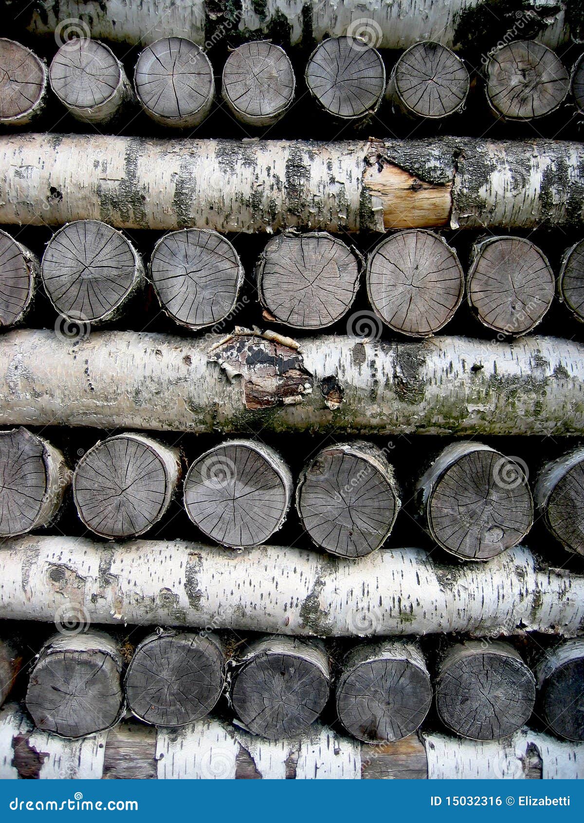 A pile of birch logs stock photo. Image of paper, nature - 15032316