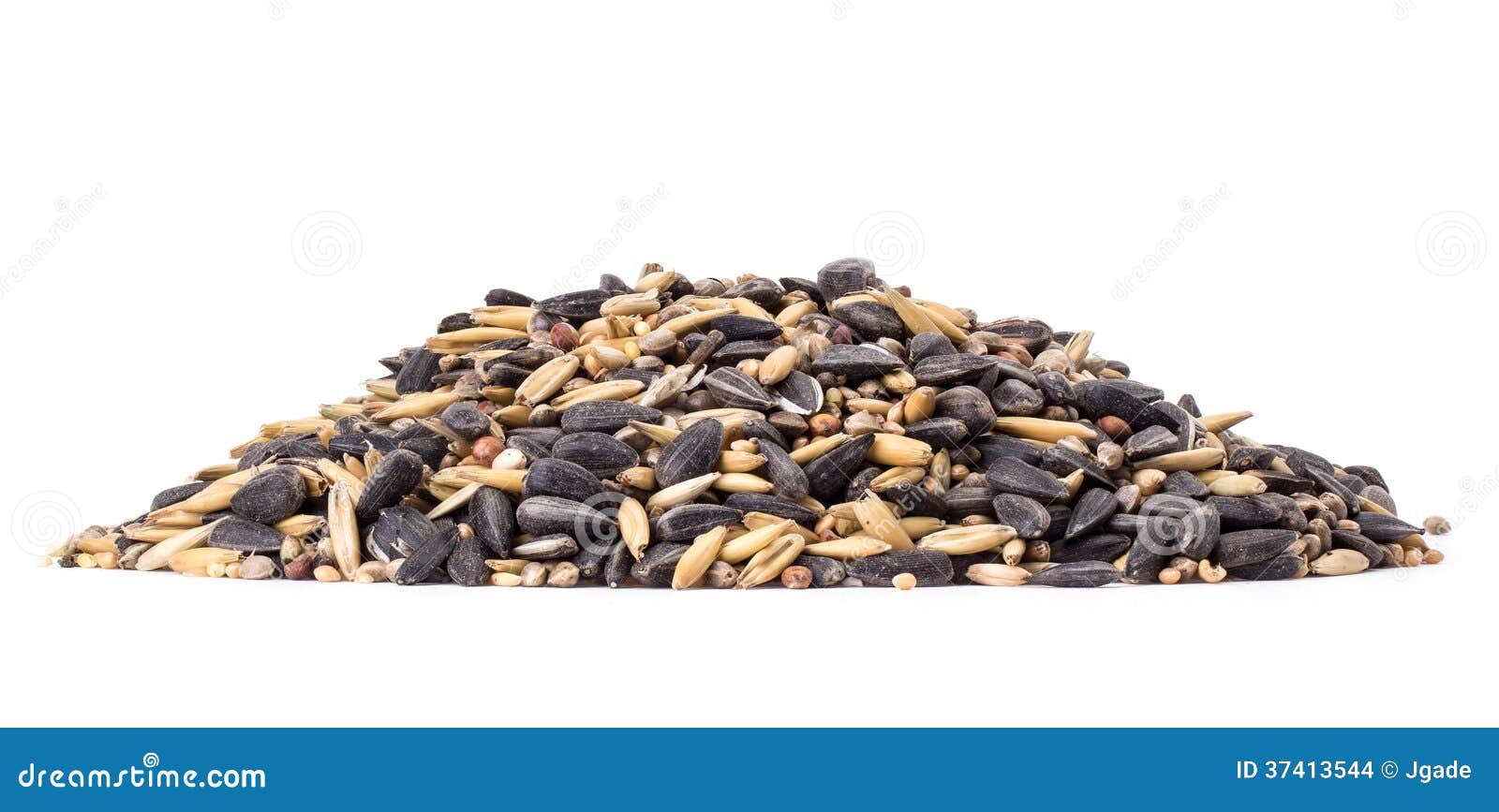 Pile of bird seeds stock photo. Image of millet, healthy - 37413544