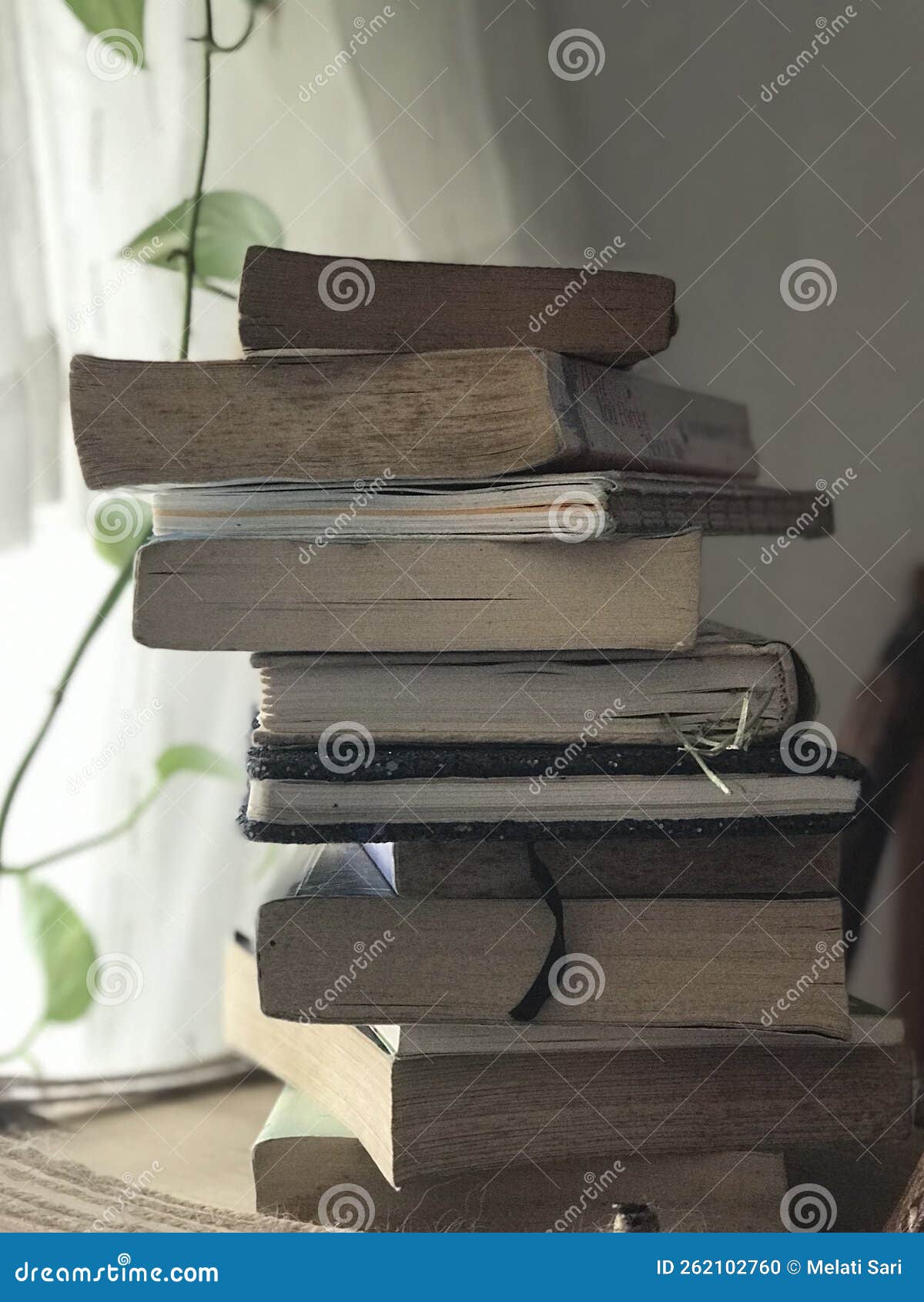 Pile of book stock photo. Image of book, novel, pile - 262102760