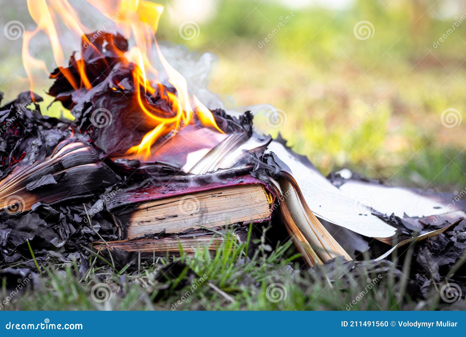 A Pile of Books is Burning on the Fire Stock Photo - Image of ignorance ...