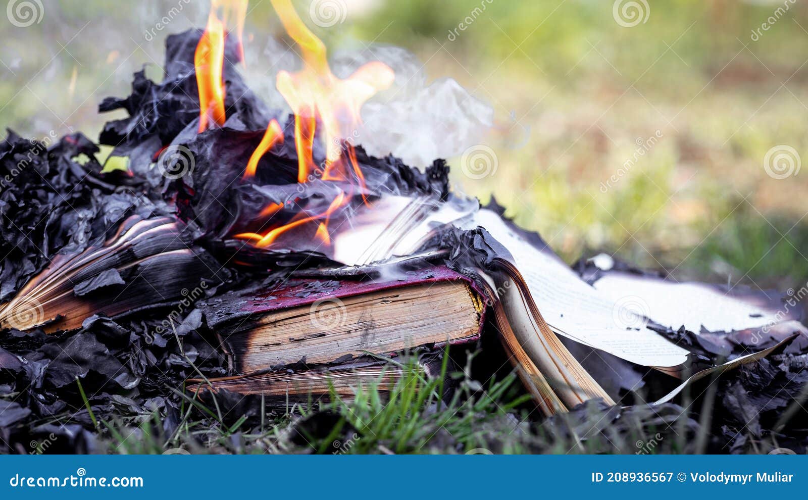 Pile of Books on the Fire Burning Books Stock Image - Image of ...