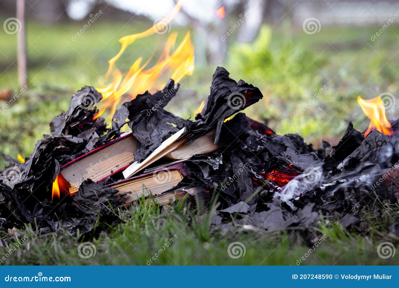 Pile of Books in the Garden by the Fire, Burning Books Stock Photo ...