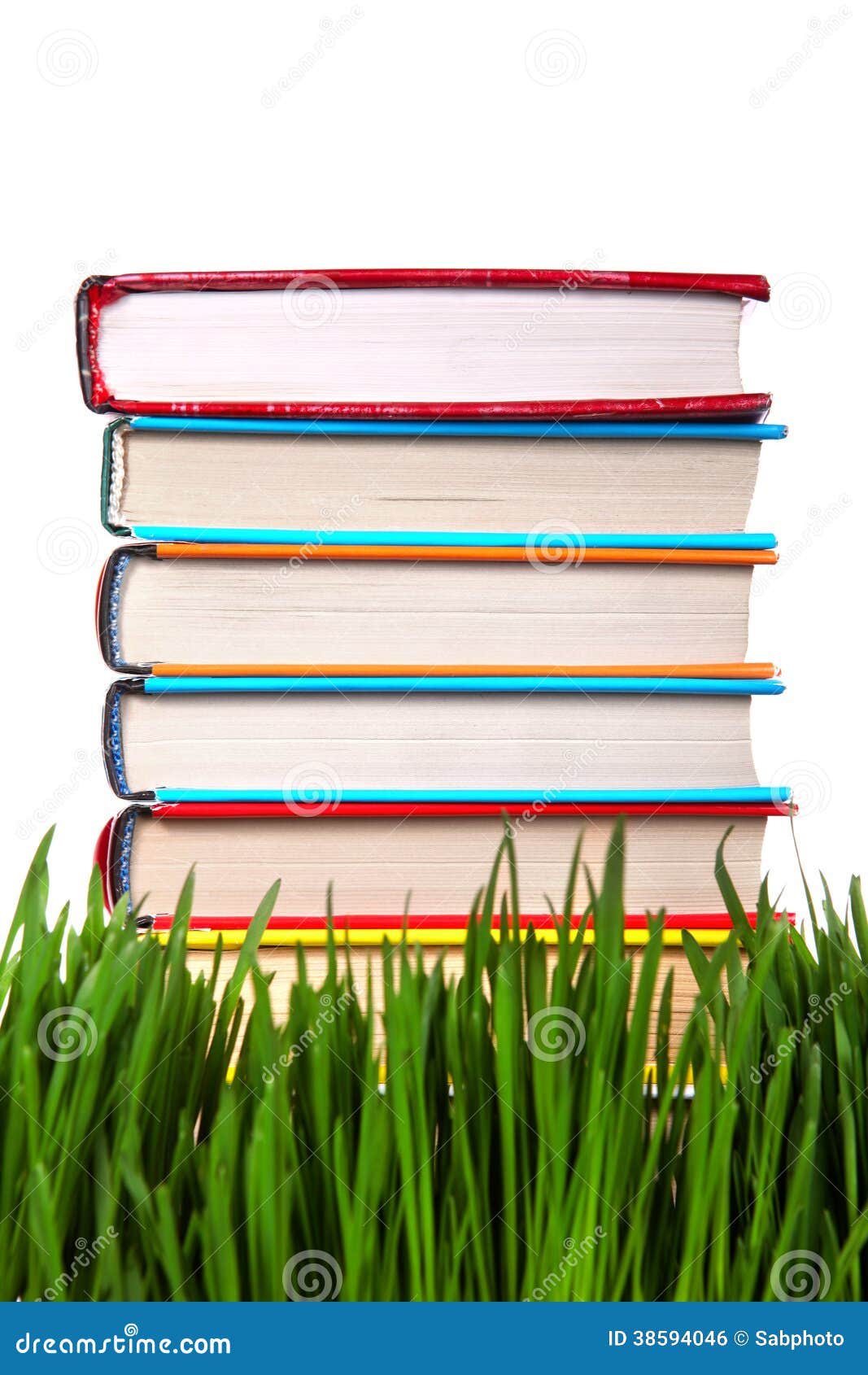 Pile of the Books on the Grass Stock Photo - Image of high, garden ...