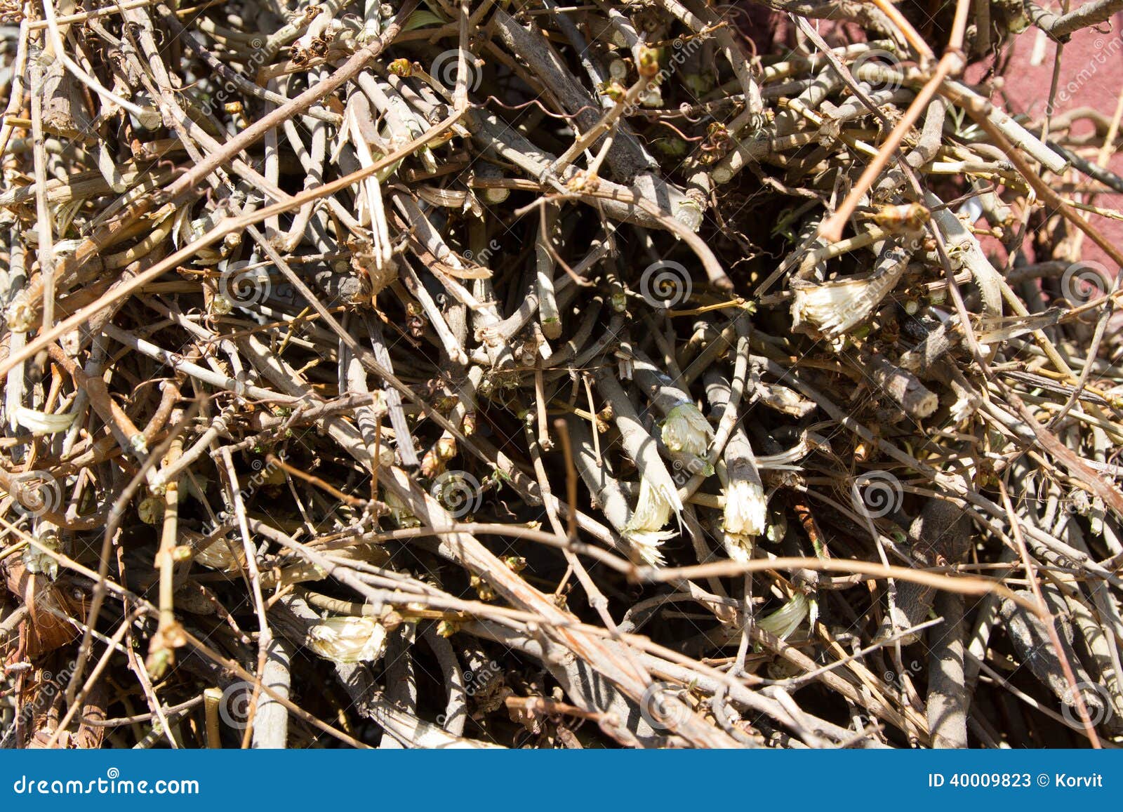 Pile of branches stock image. Image of healthy, environment - 40009823