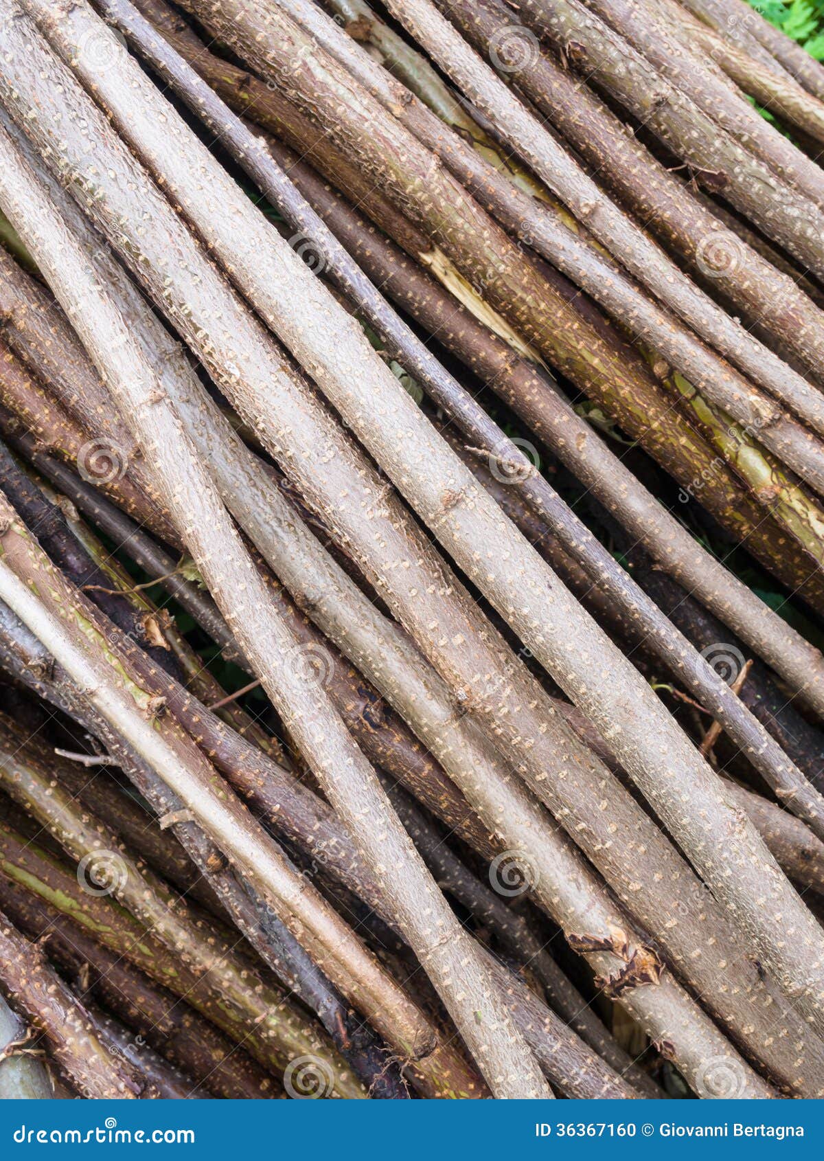 Pile of branches stock photo. Image of primitve, beam - 36367160