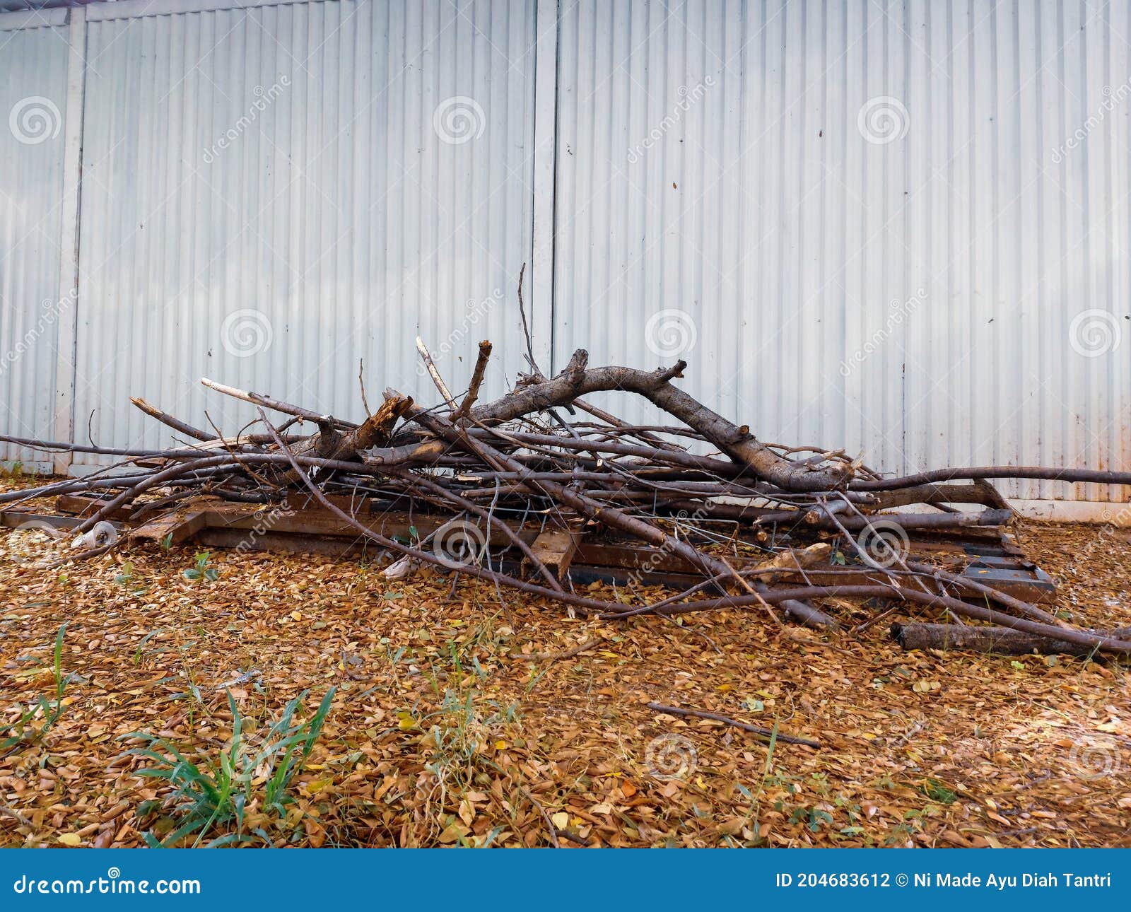 Pile of branches and twigs stock photo. Image of branch - 204683612