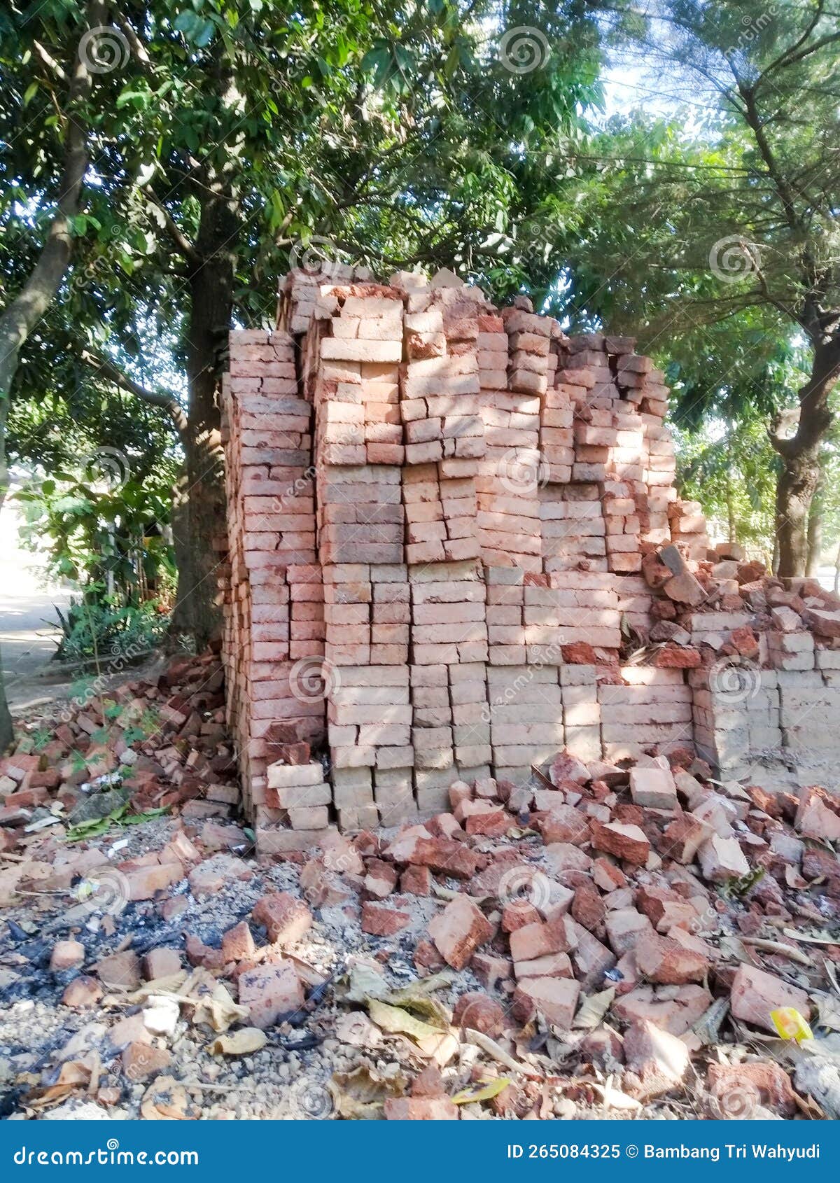 Pile of Bricks Under a Tree Stock Image - Image of ruins, trunk: 265084325