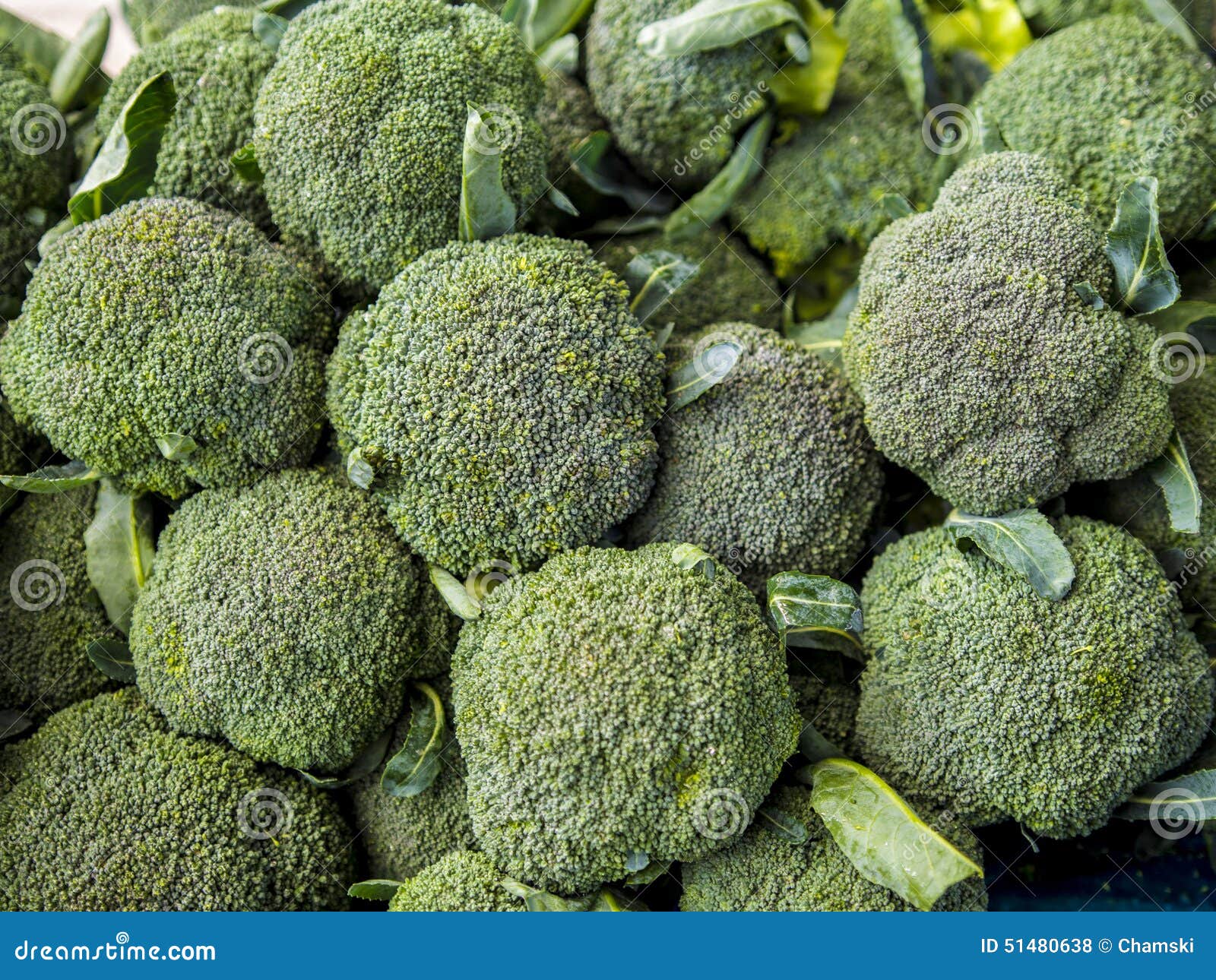 A pile of broccoli stock photo. Image of crystals, ingredient - 51480638