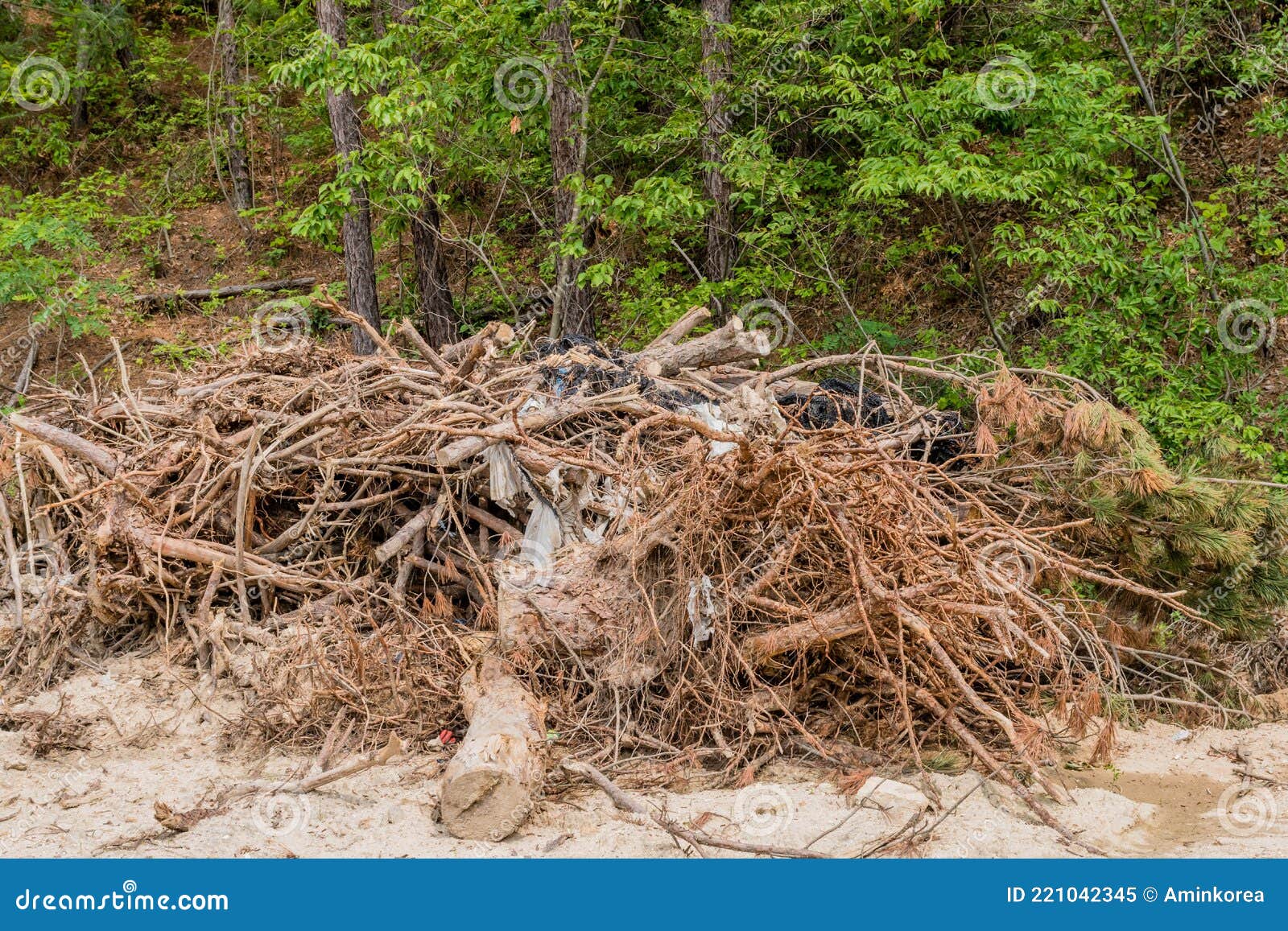 Pile of Broken Tree Branches Laying on Ground Stock Image - Image of ...