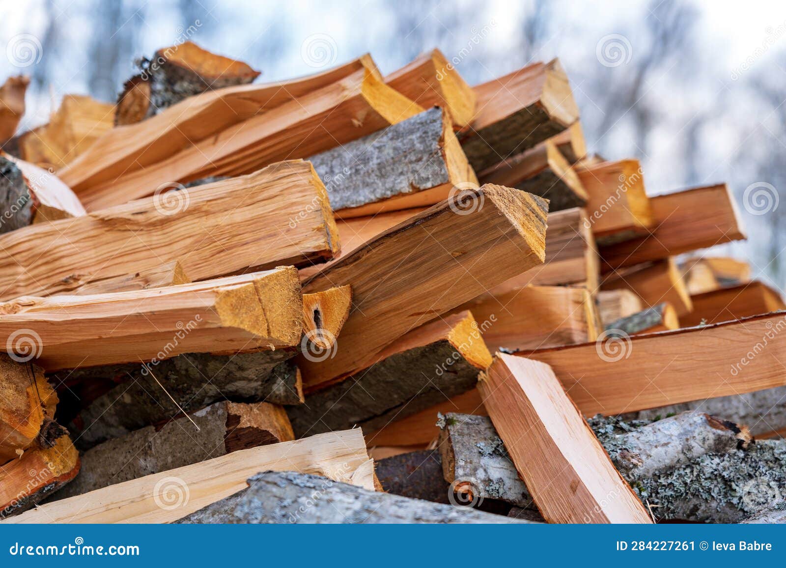 A Pile of Broken Wood in the Spring Stock Image - Image of family ...