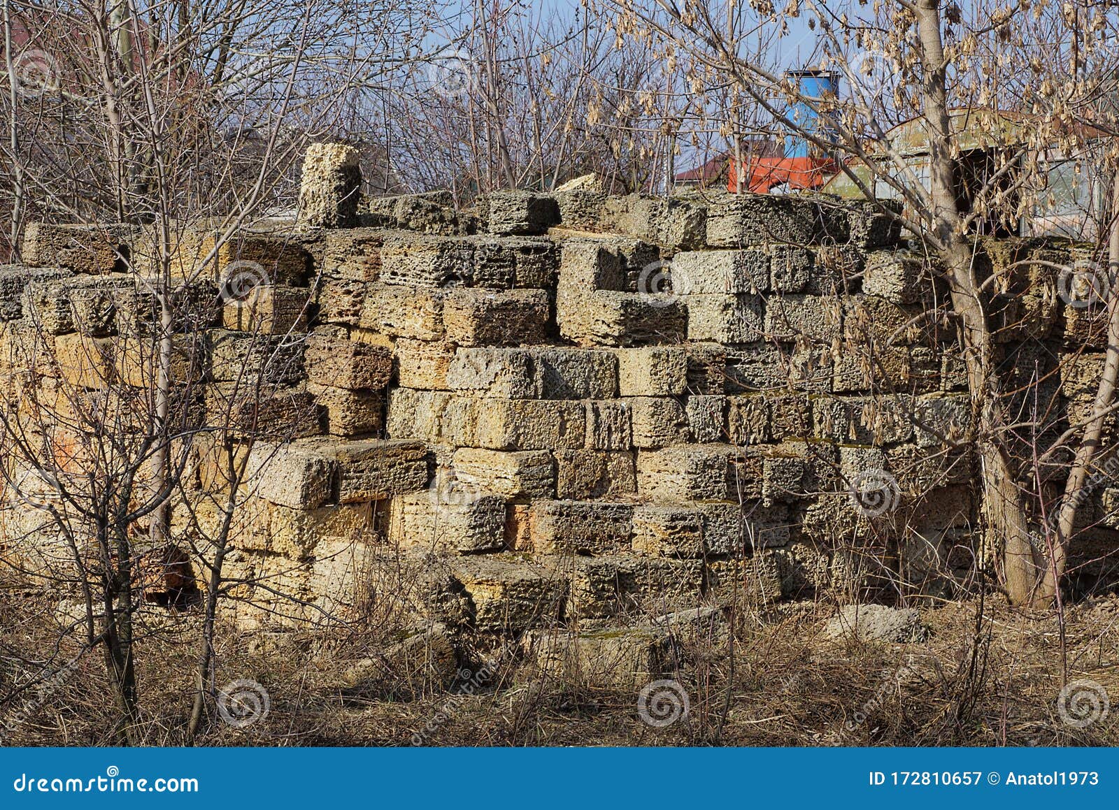 A Pile Of Brown Pellets Feeds The Fish On A Female Hand With Blurred ...
