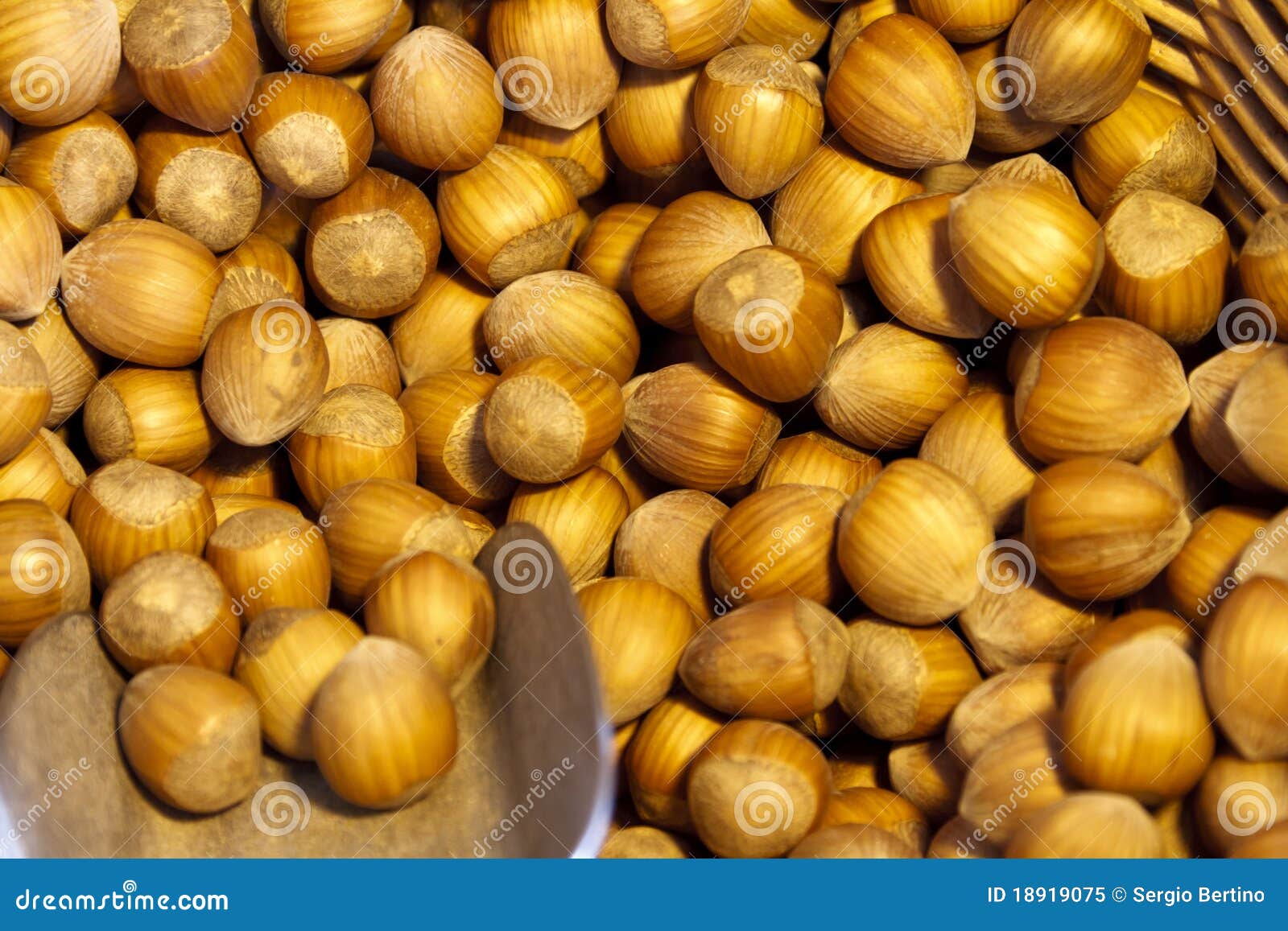 Pile of brown nuts stock image. Image of hard, overhead - 18919075
