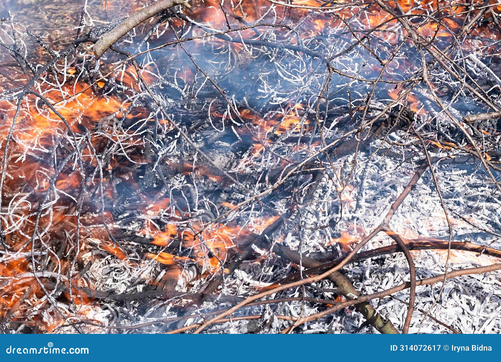 A Pile of Burning Branches, Smoke and Ash Stock Image - Image of nature ...