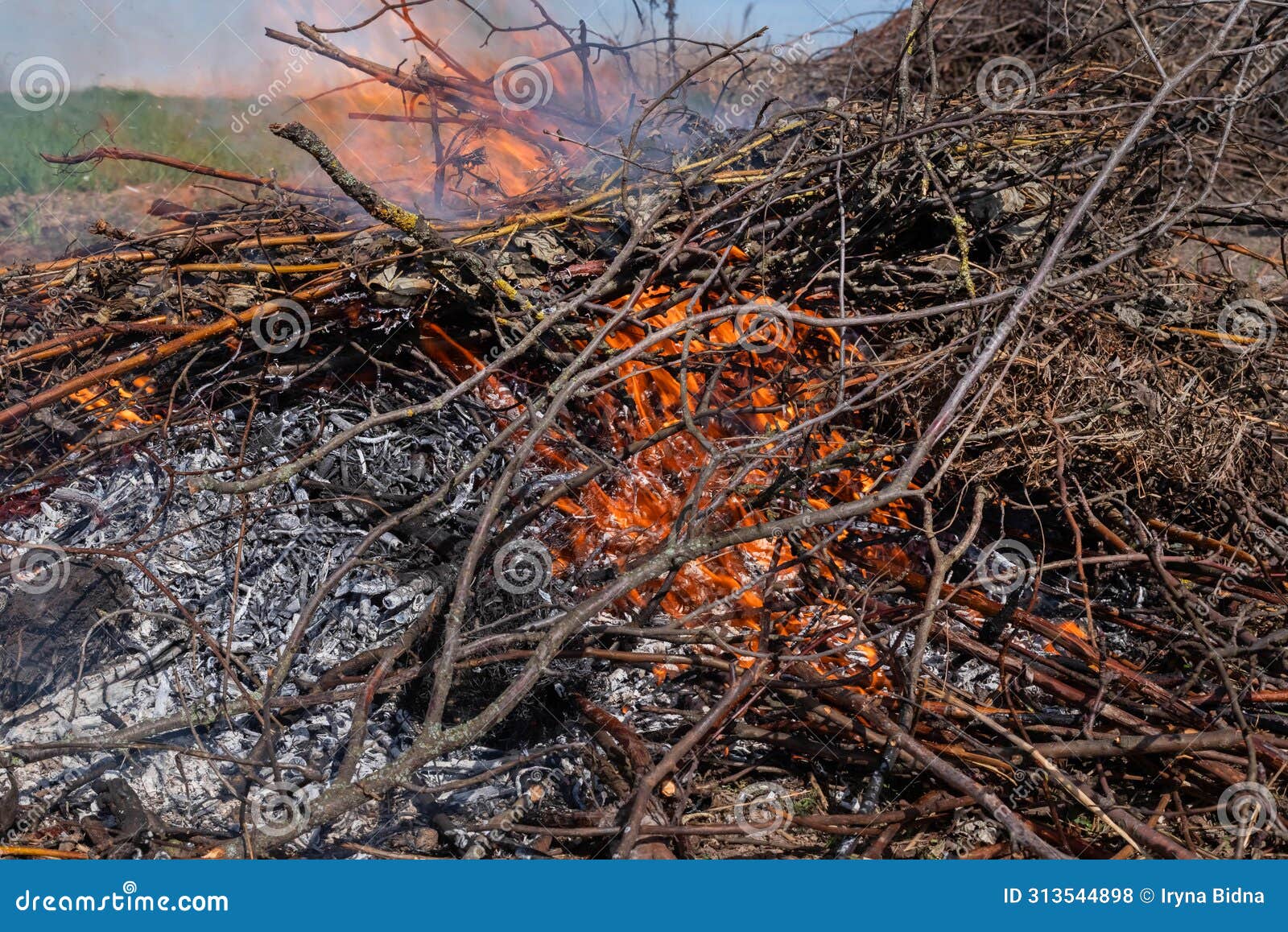 A Pile of Burning Branches with Smoke. Stock Photo - Image of burning ...