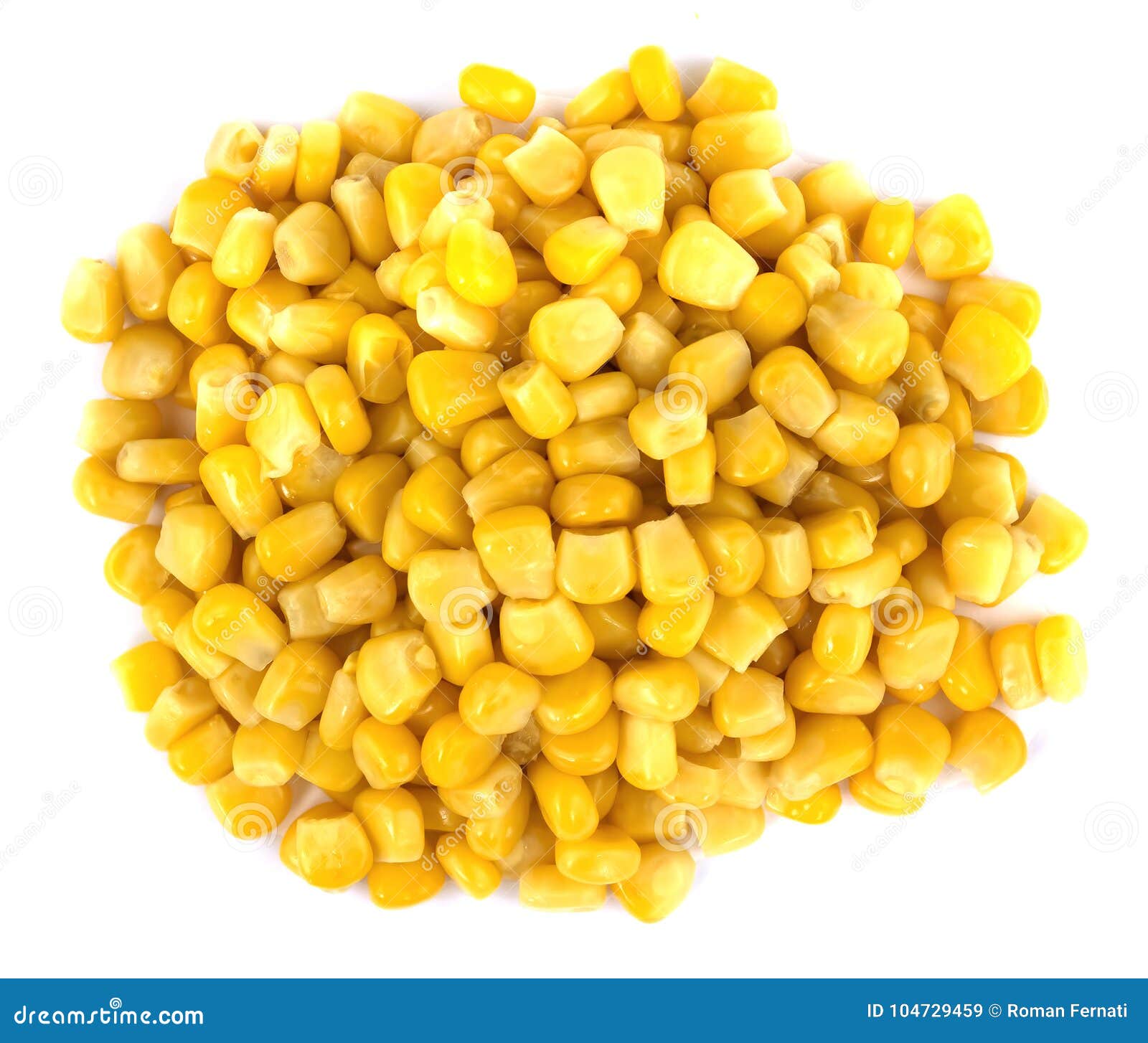Sweet Corn Isolated on White Background Stock Image - Image of isolated ...