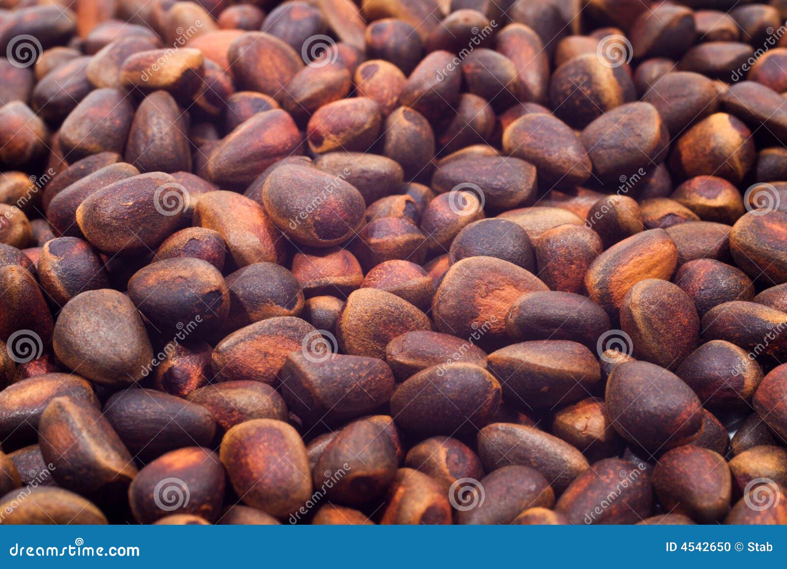 A pile of cedar nut stock photo. Image of cedar, food - 4542650
