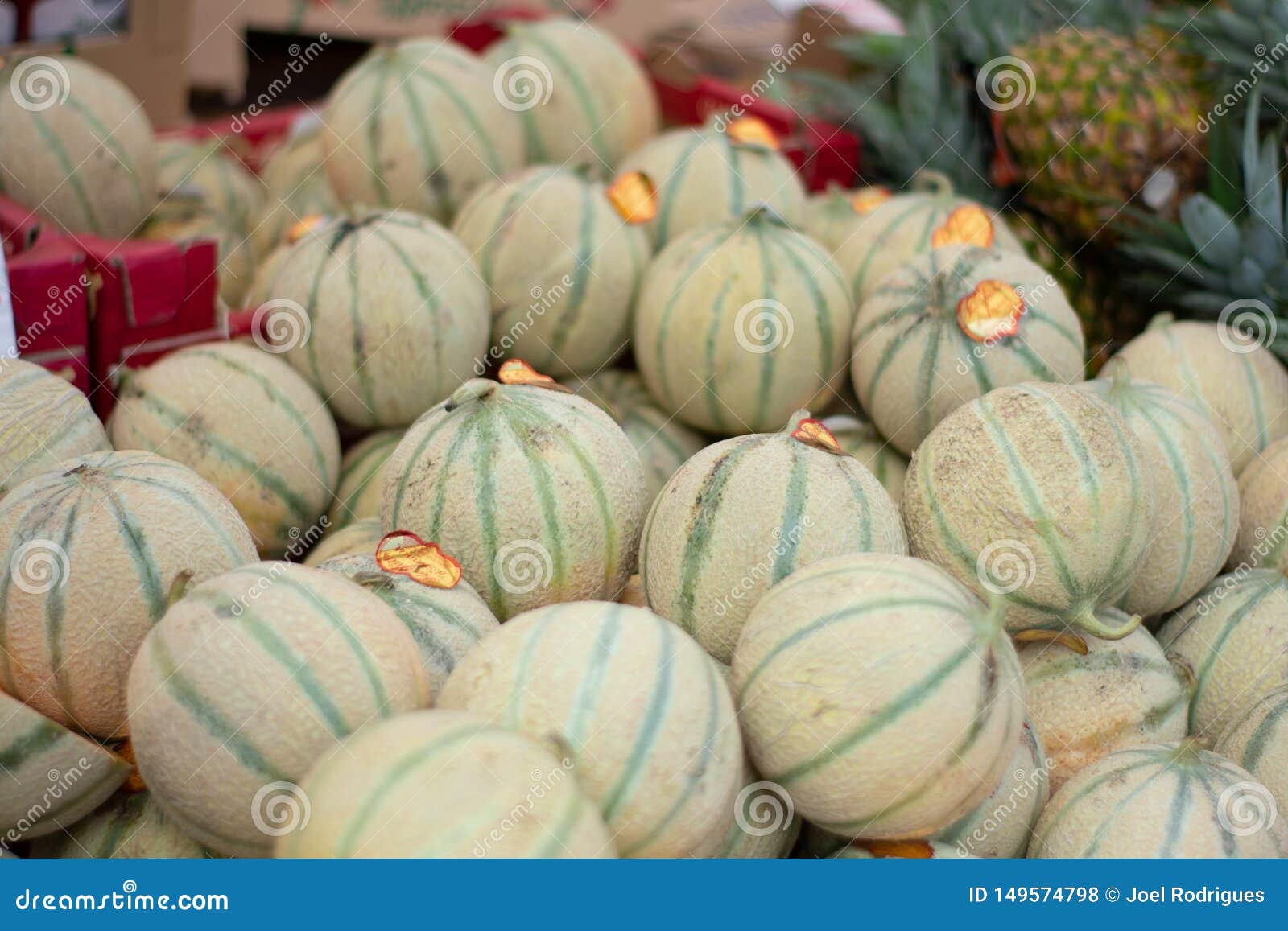Pile of Charentais Melons in Market Stock Photo - Image of yellow ...
