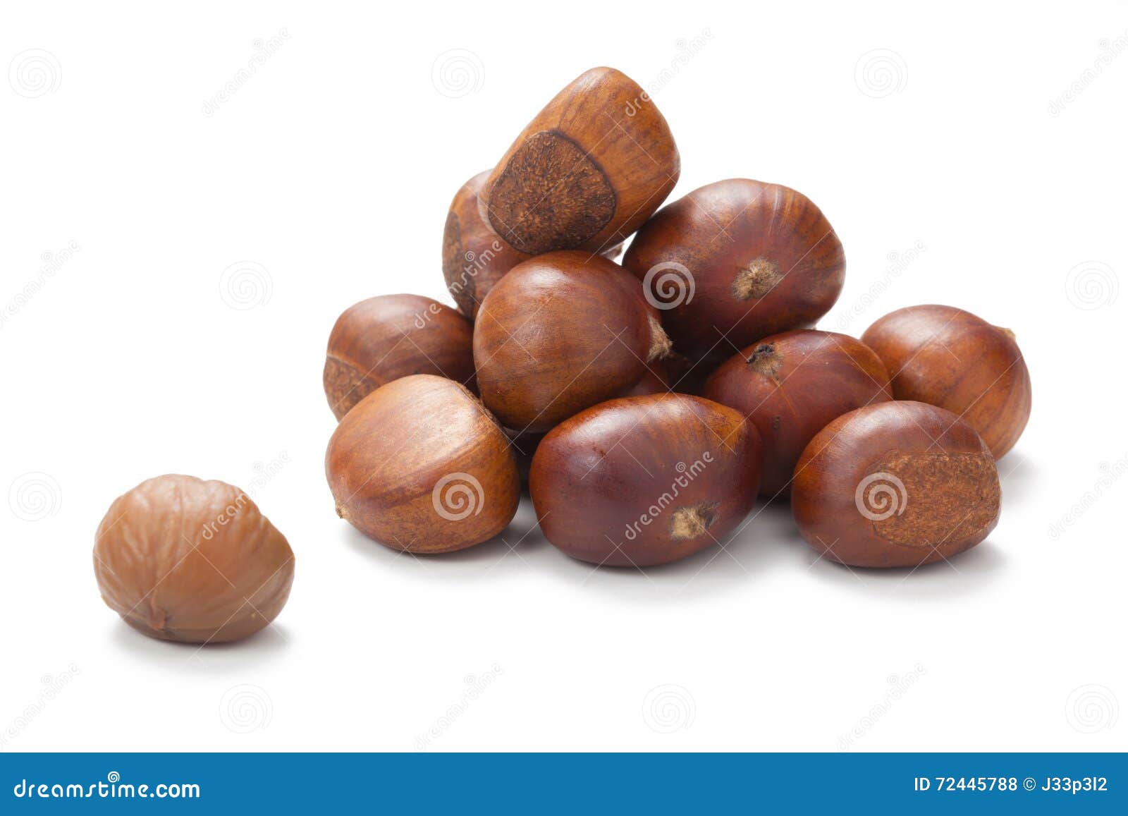 Pile of chest nut stock photo. Image of fruit, diet, clipping - 72445788