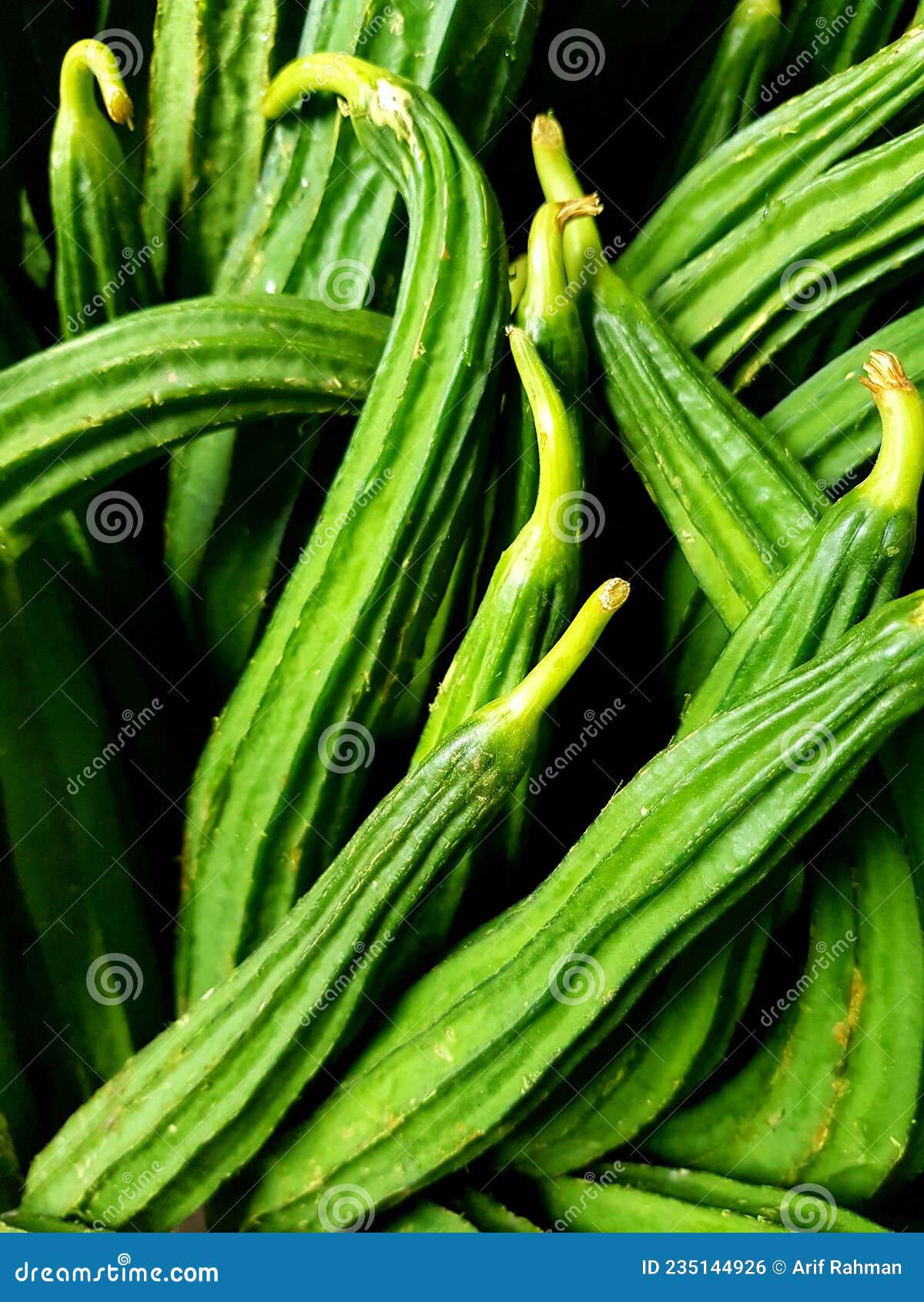 Pile Of Okra Seed Pods Royalty-Free Stock Photo | CartoonDealer.com ...