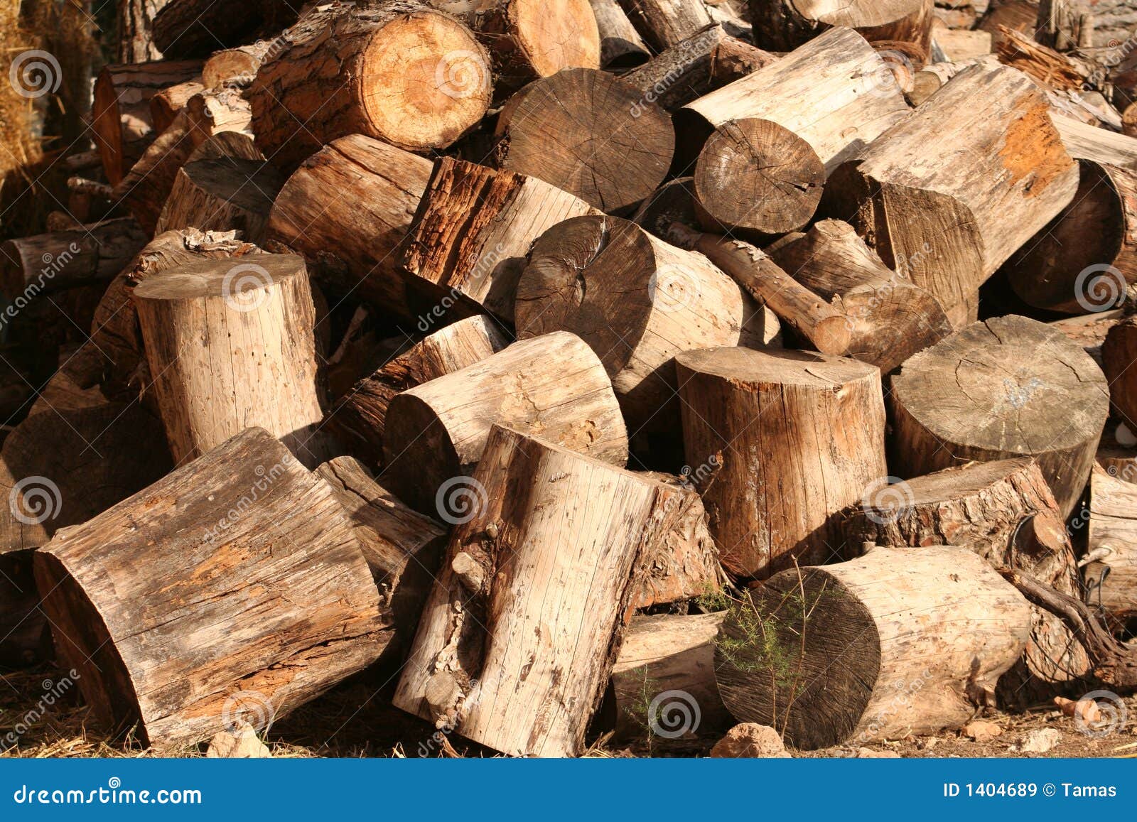 Chopped Timber Stacked As Habitat Piles Royalty-Free Stock Photography ...