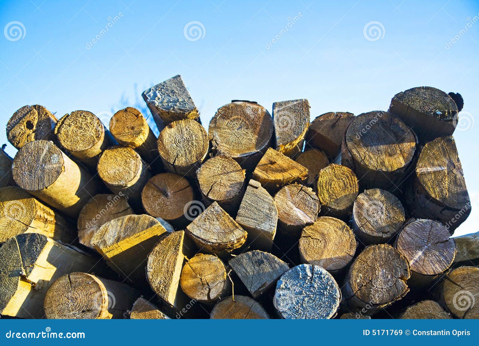 Pile of chopped logs stock image. Image of outdoor, chopped - 5171769