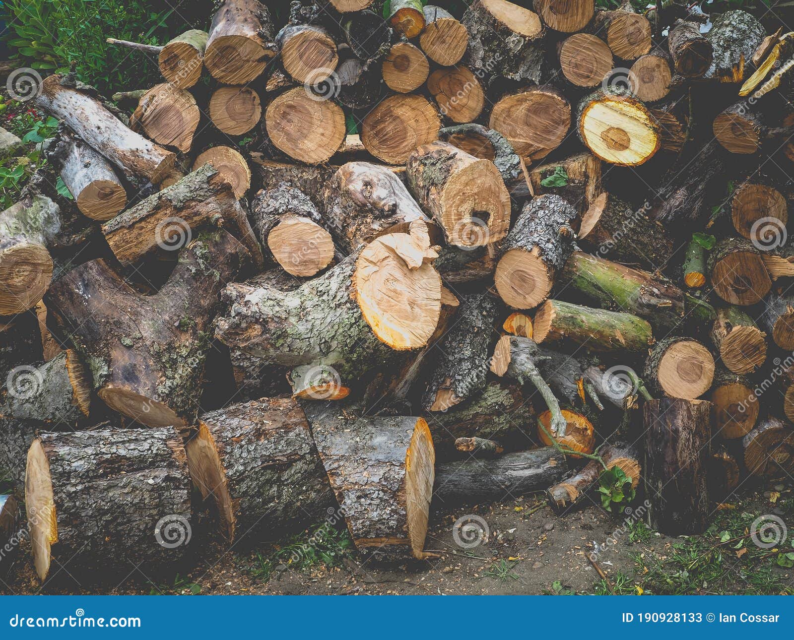 Pile of Chopped Logs in a Stack Stock Image - Image of wood, stacked ...