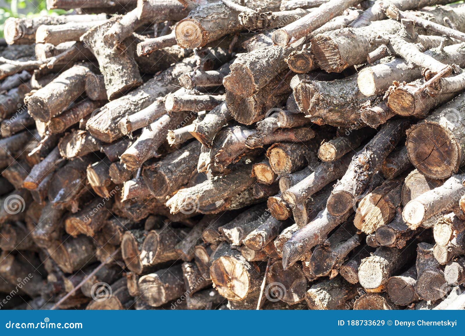 A Pile of Chopped Small Wooden Sticks Stock Image - Image of fuel ...