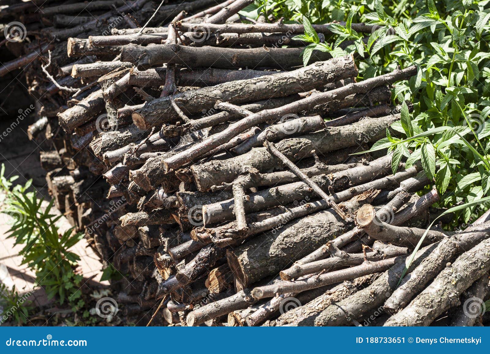 A Pile of Chopped Small Wooden Sticks Stock Image - Image of wood ...