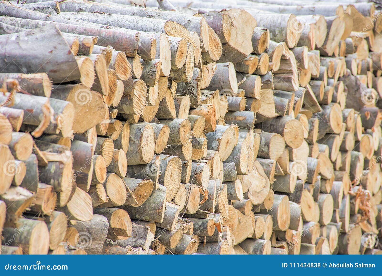 Pile of chopped wood stock photo. Image of cutting, firewood - 111434838