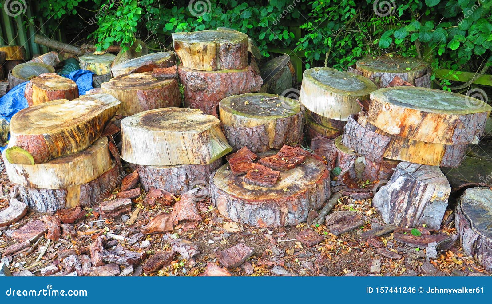 Pile of Circular Cut Logs Drying in Corner of Rural Carpark Stock Photo ...