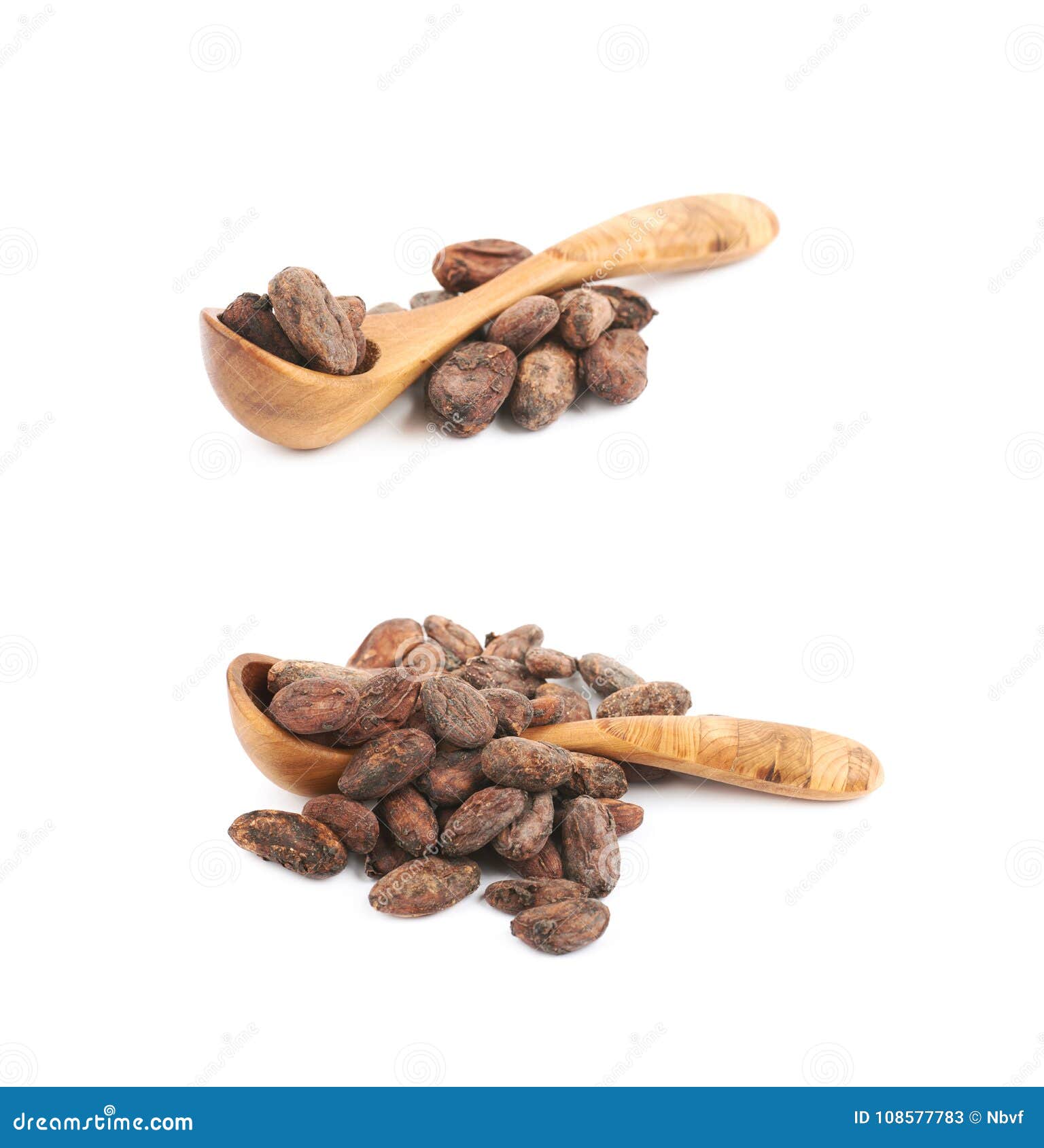 Pile Of Cocoa Beans Isolated Stock Image Image Of Nature Nutritive 108577783