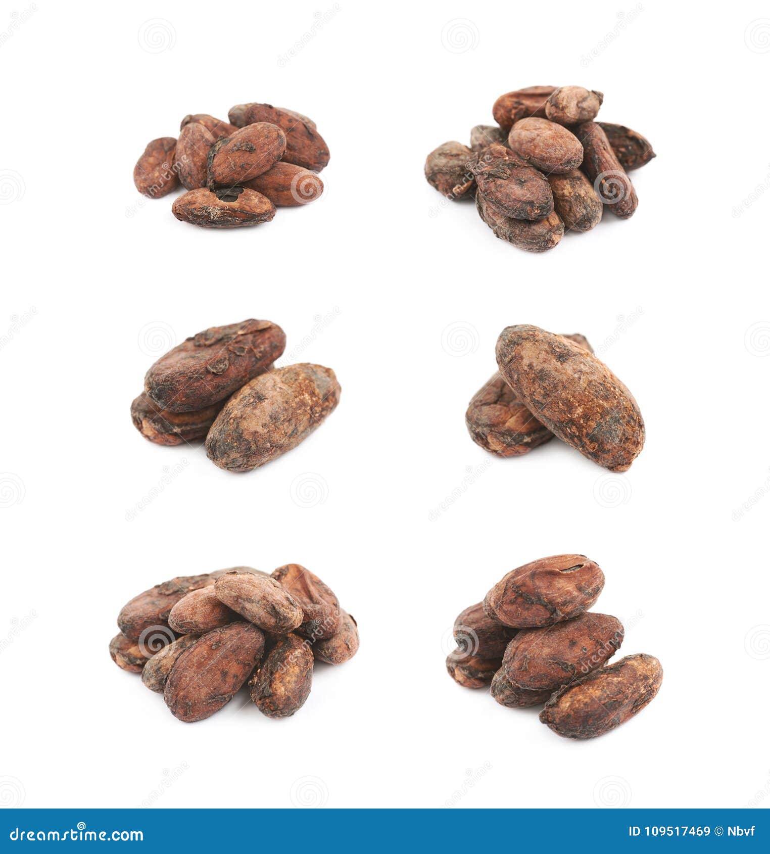 Pile Of Cocoa Beans Isolated Stock Image Image Of Heap Natural 109517469
