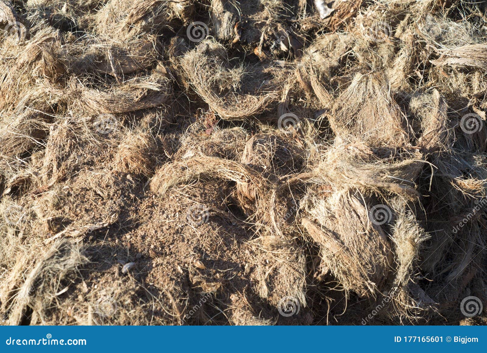 Pile Coconut Fiber Use Spa Scrub . Stock Image - Image of closeup ...