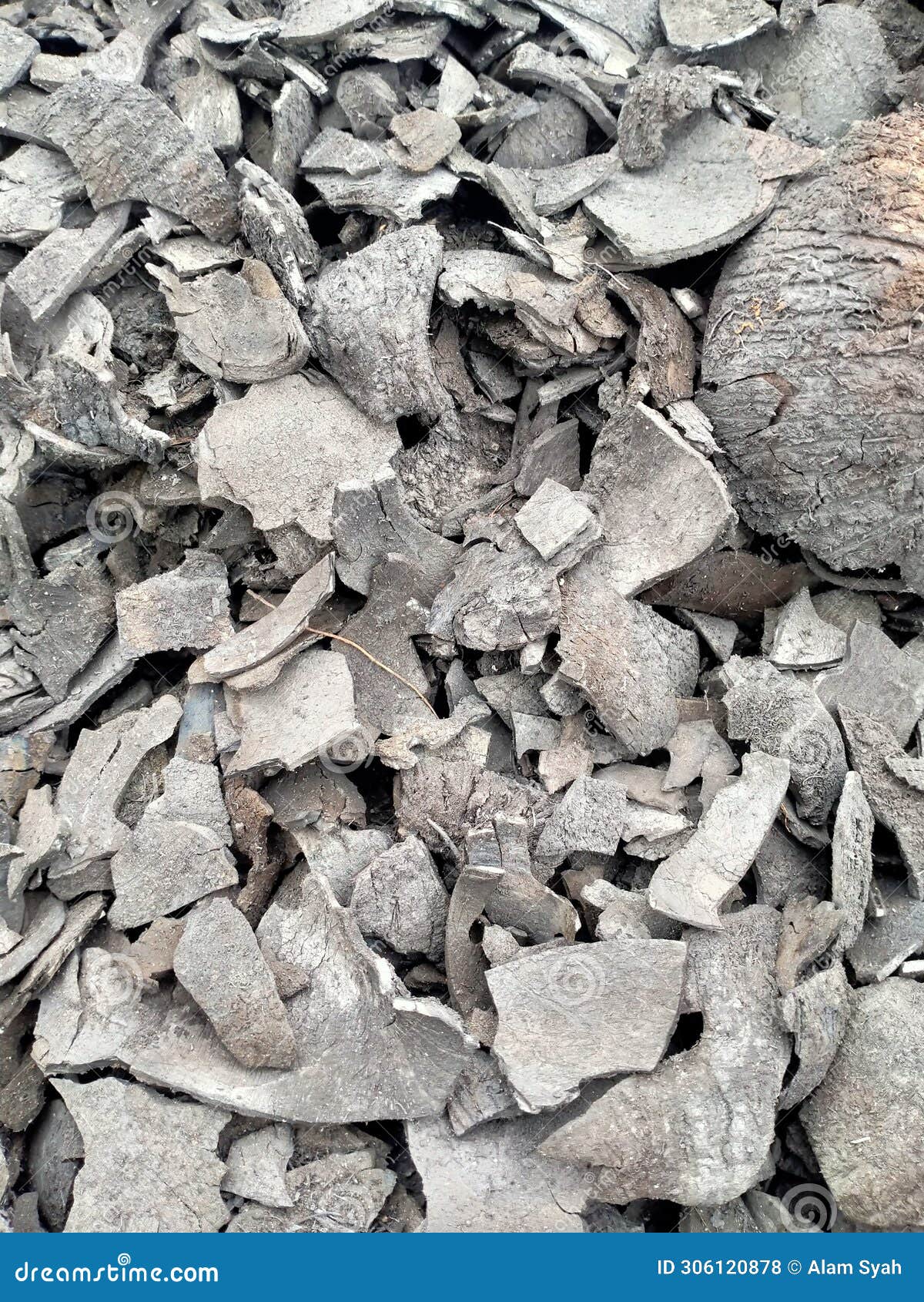 Pile of Coconut Shell Charcoal, Which Has Gone through the Burning ...